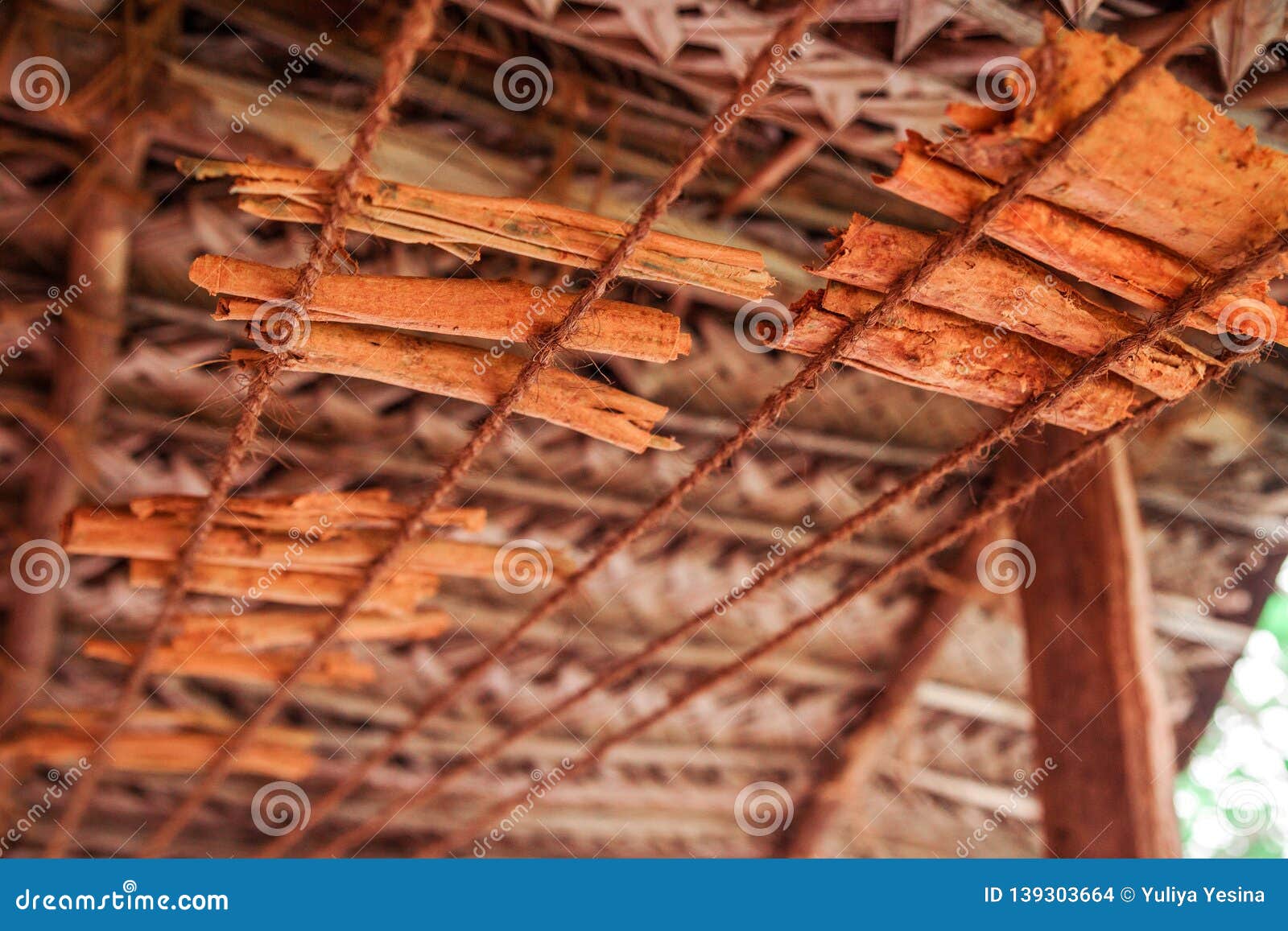 Manual Dried Squid Flatten Roller Machine Royalty-Free Stock Photo ...