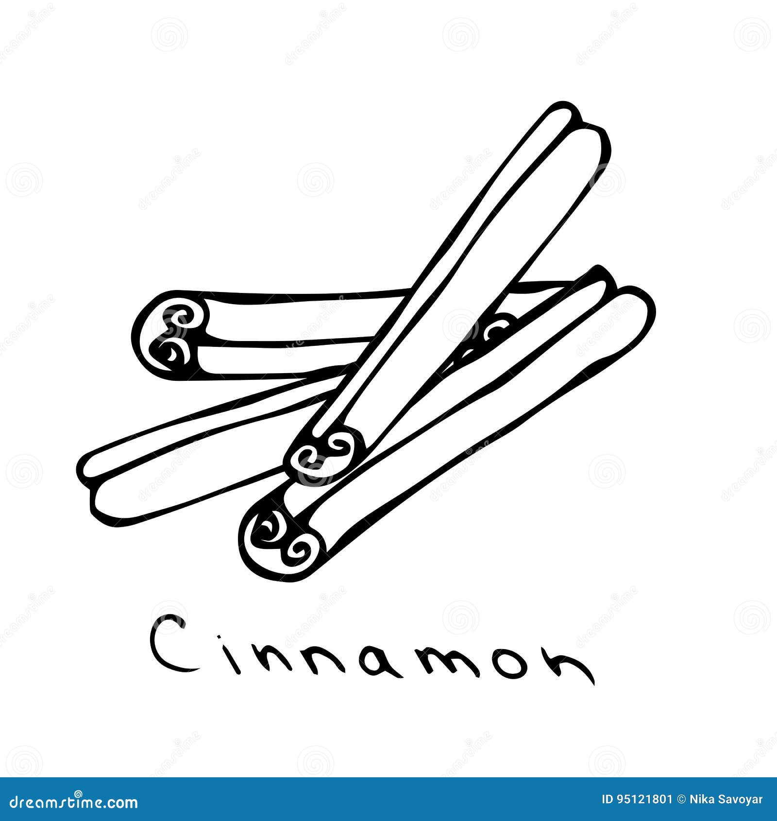 Cinnamon Sticks. Realistic Hand Drawn Doodle Style Sketch. Vector ...