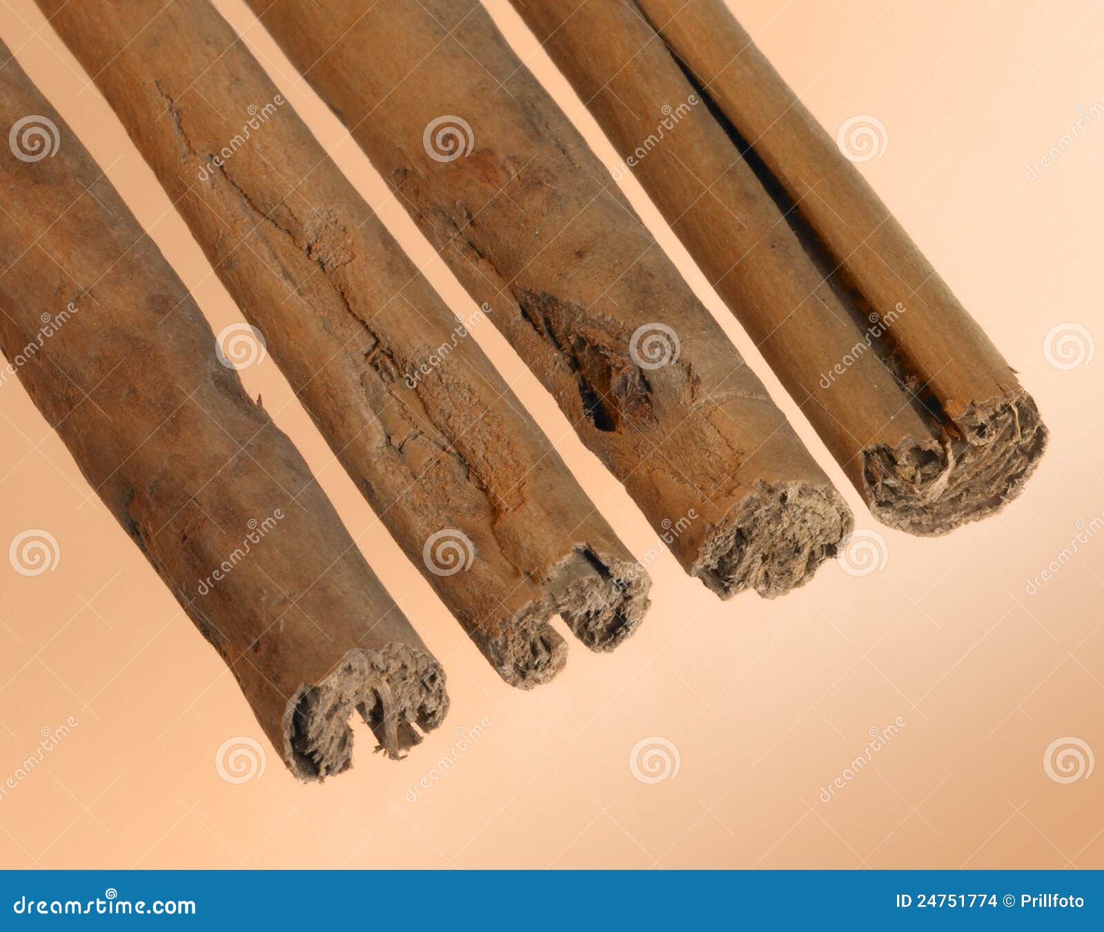 Cinnamon sticks in a row stock photo. Image of frame - 24751774