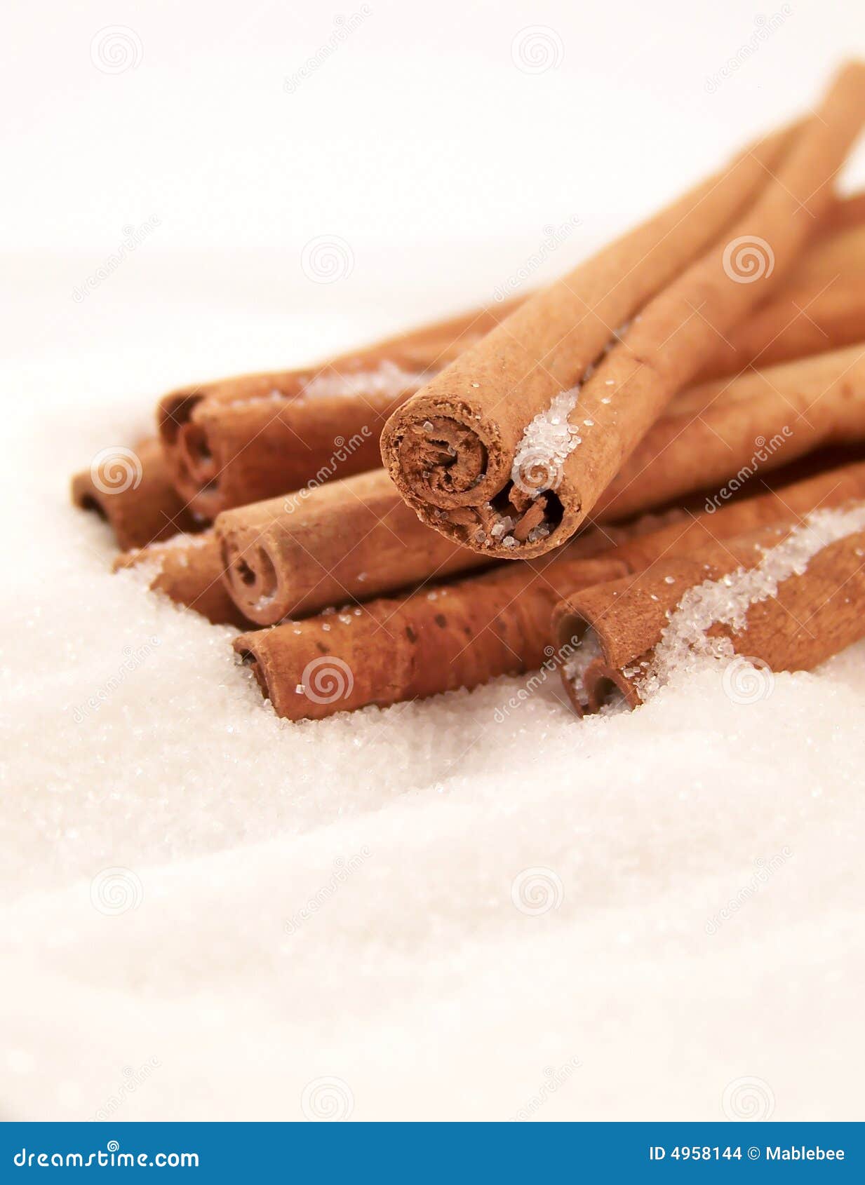 Cinnamon Sticks and Sugar stock photo. Image of cinnamon - 4958144