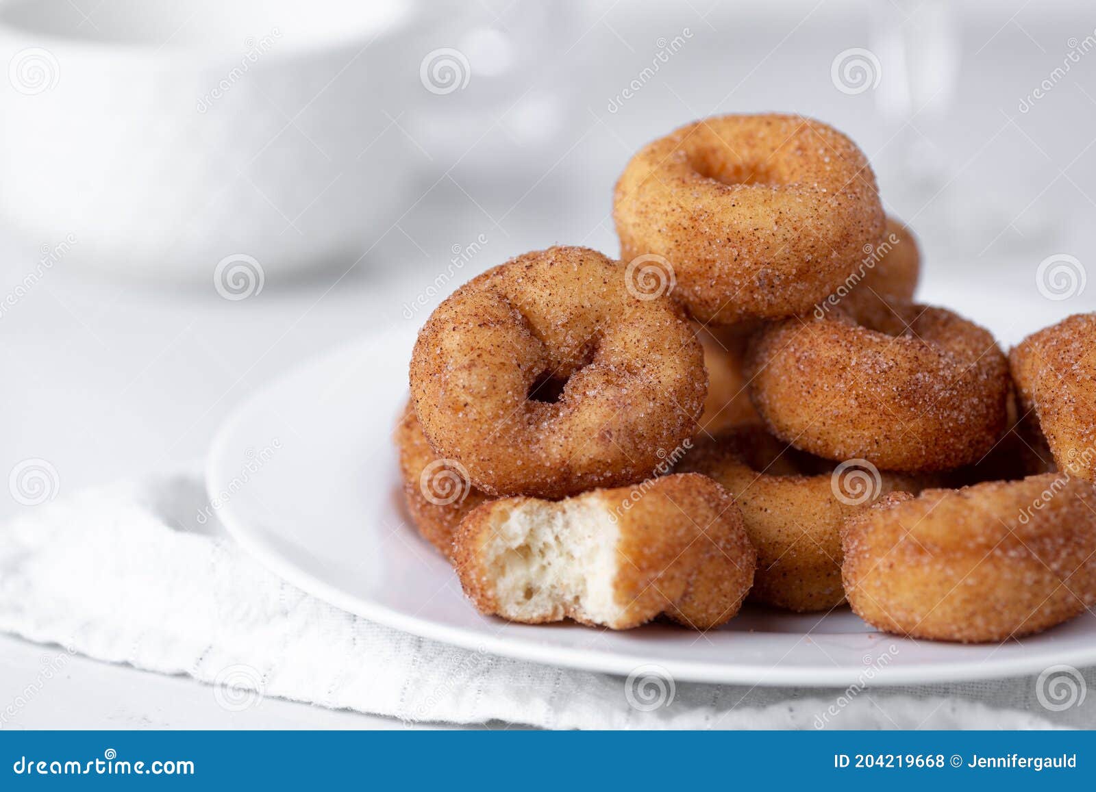 Cinnamon sugar mini donuts stock photo. Image of fried - 204219668