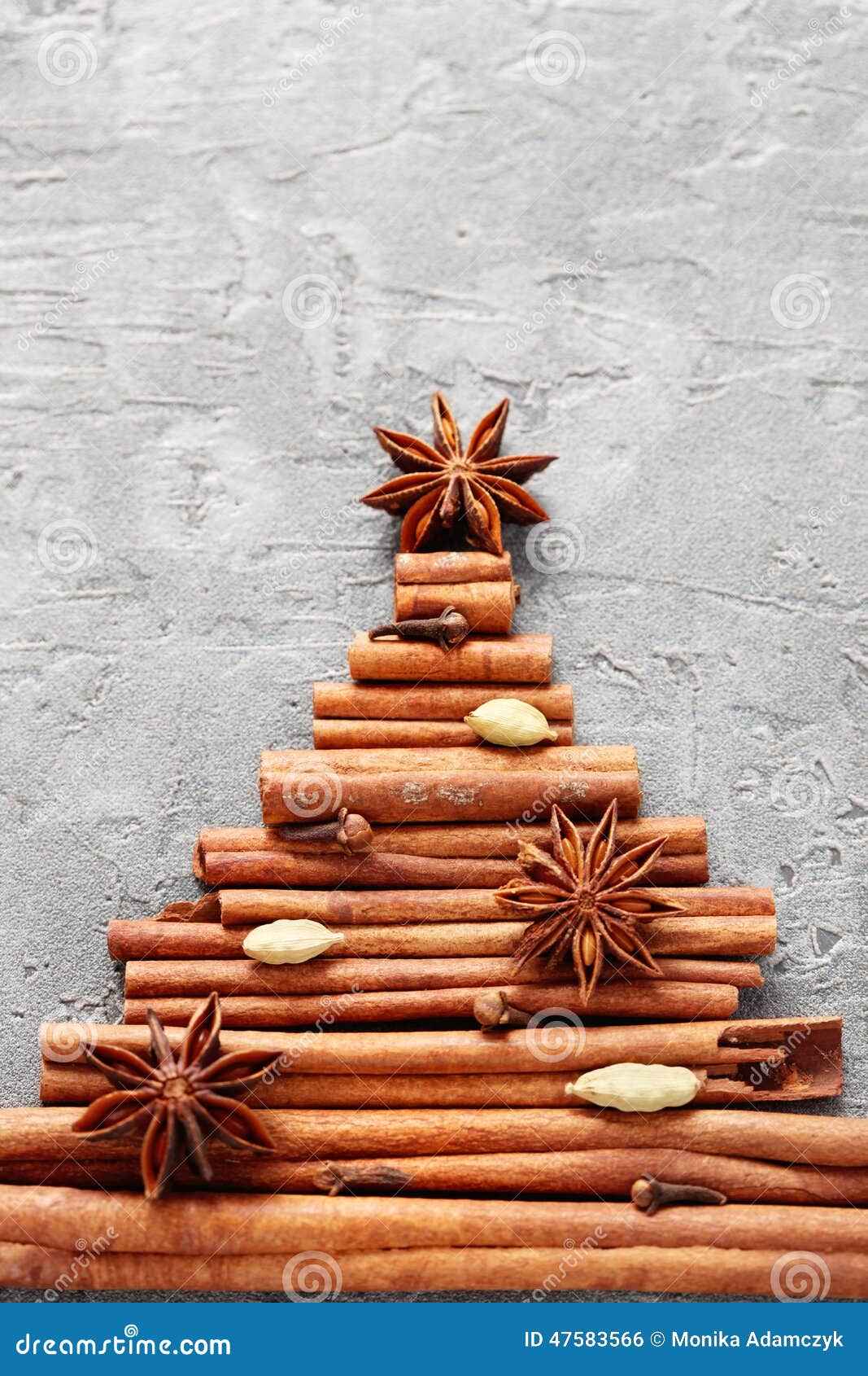 Cinnamon tree stock photo. Image of clove, winter, christmas - 47583566