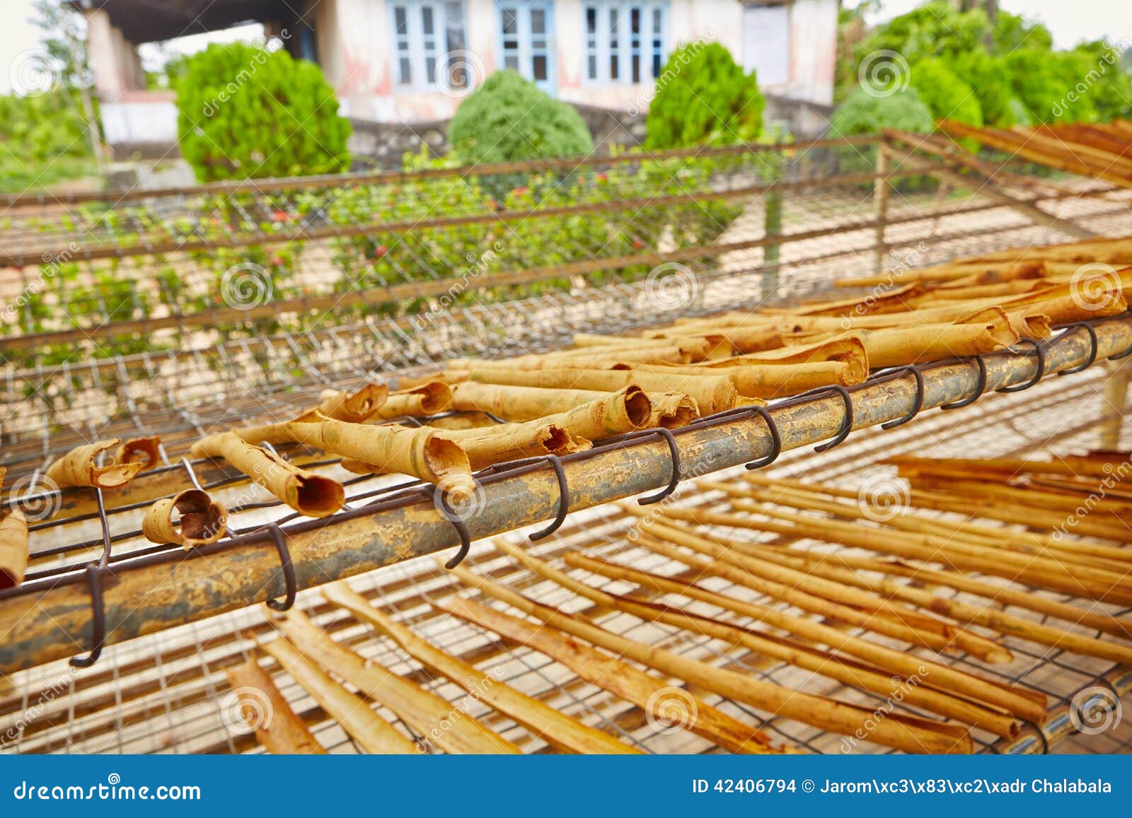 Cinnamon workshop stock photo. Image of factory, crop - 42406794