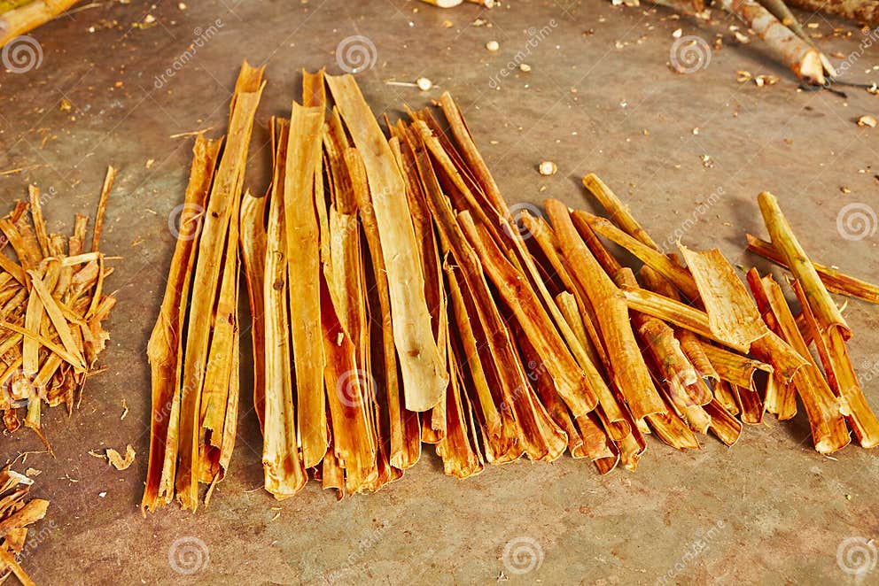 Cinnamon workshop stock image. Image of antioxidant, production - 42406787