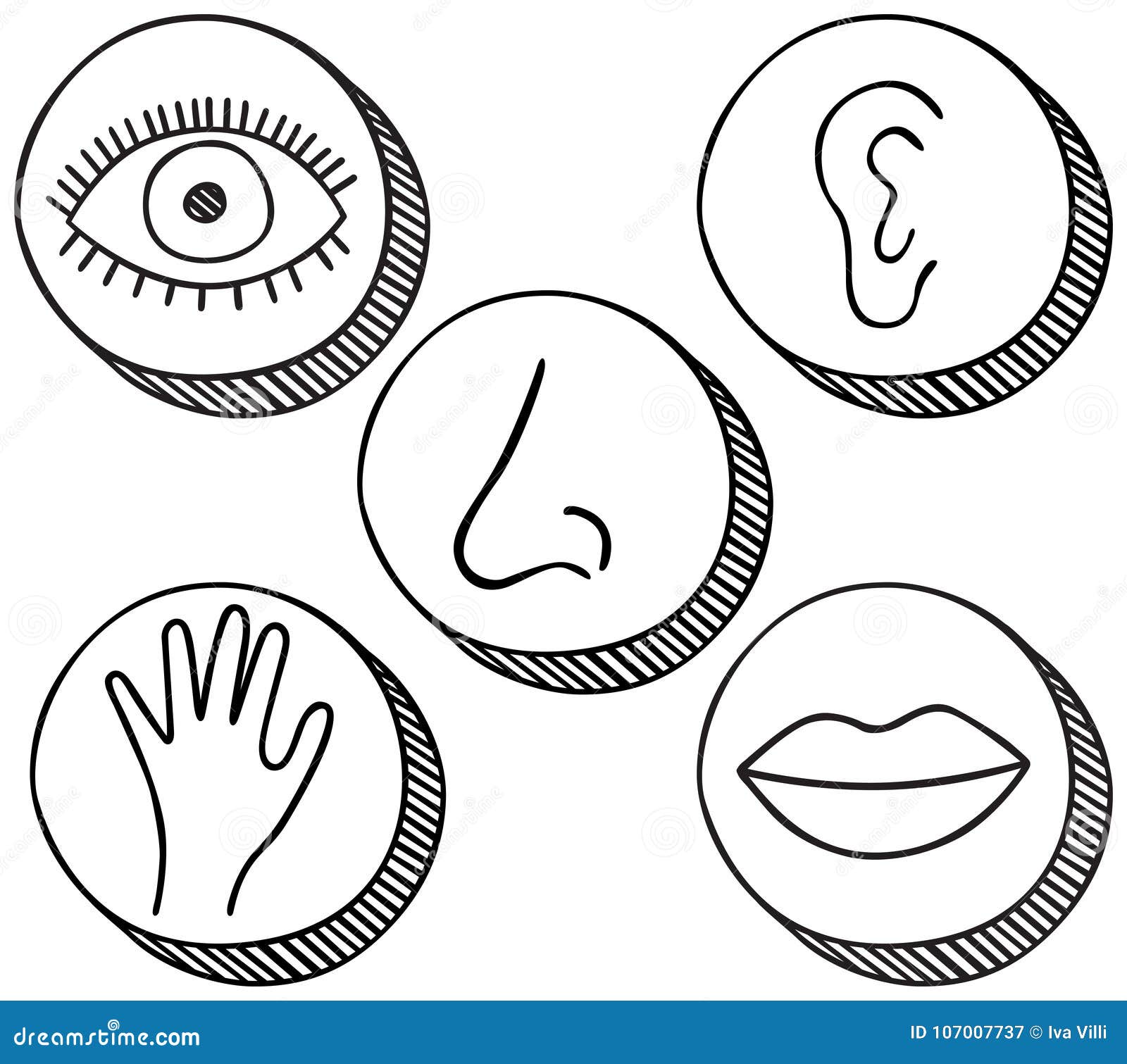 Cinq graphismes de sens illustration de vecteur. Illustration du ...