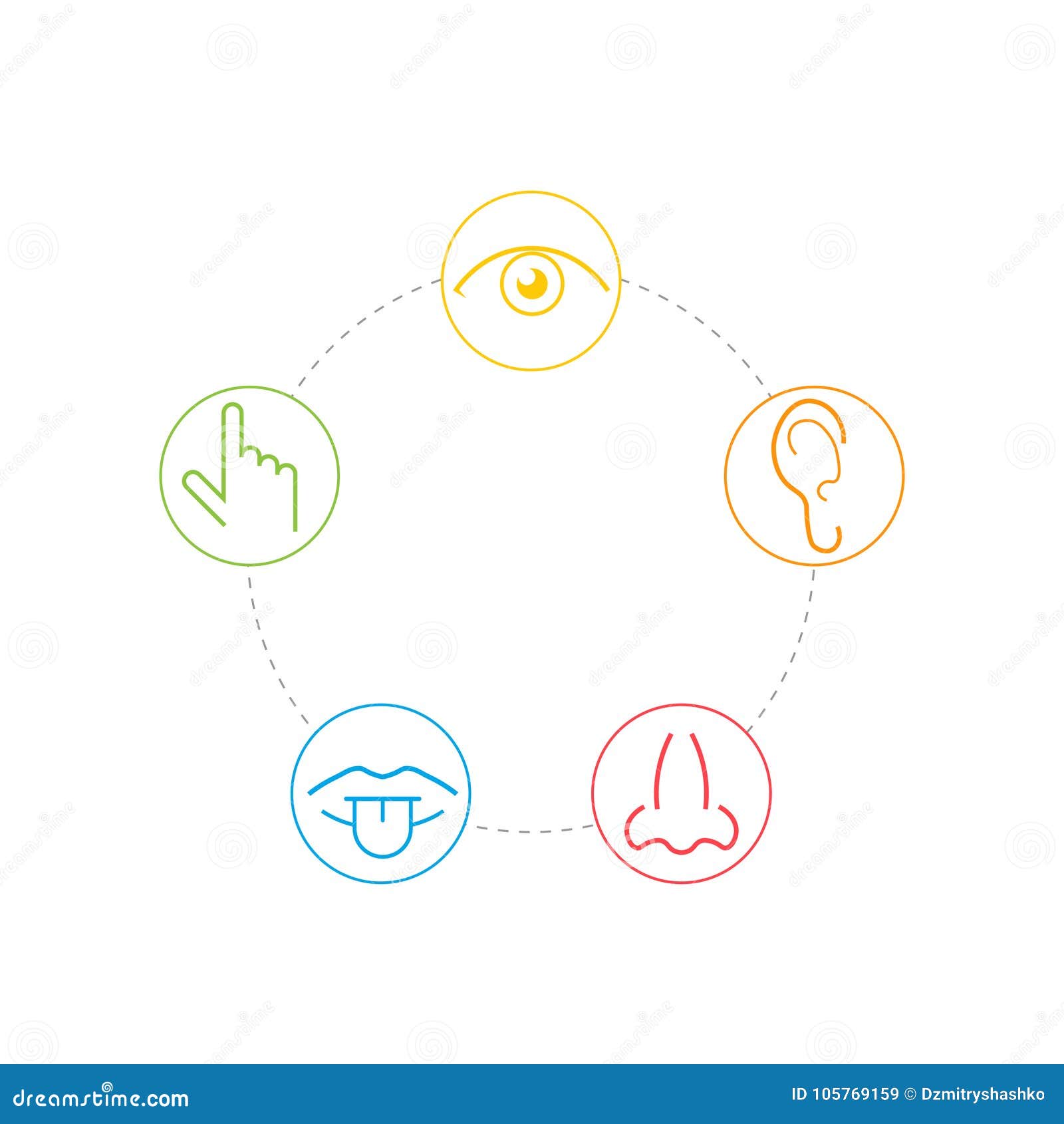 Cinque icone di sensi illustrazione vettoriale. Illustrazione di asilo ...