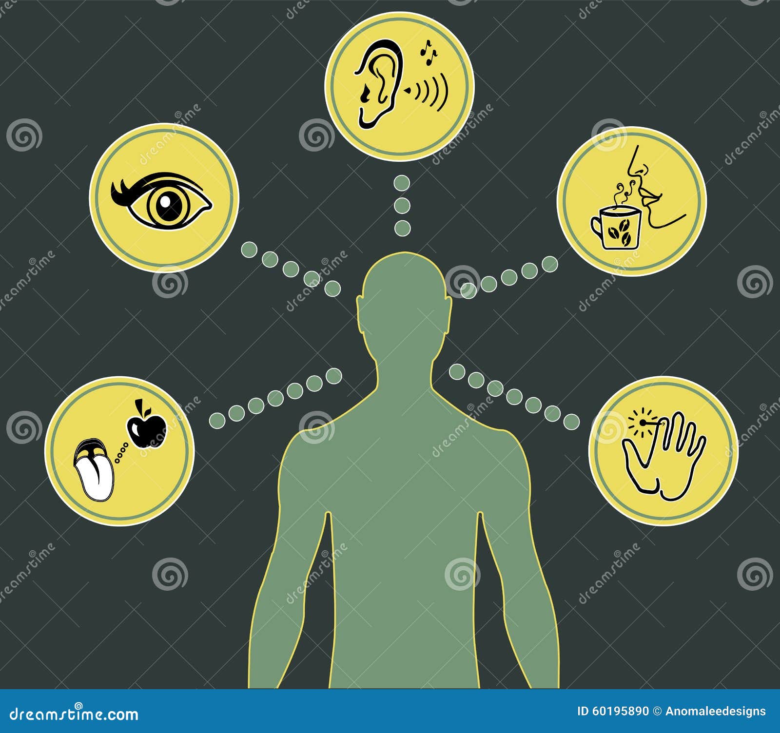 Cinque icone di sensi illustrazione vettoriale. Illustrazione di uomo ...