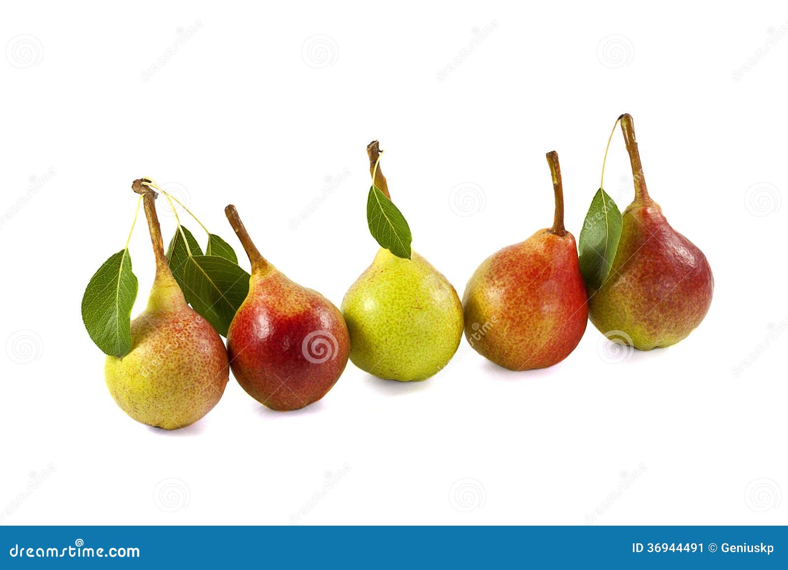 Cinque pere fresche immagine stock. Immagine di frutta - 36944491