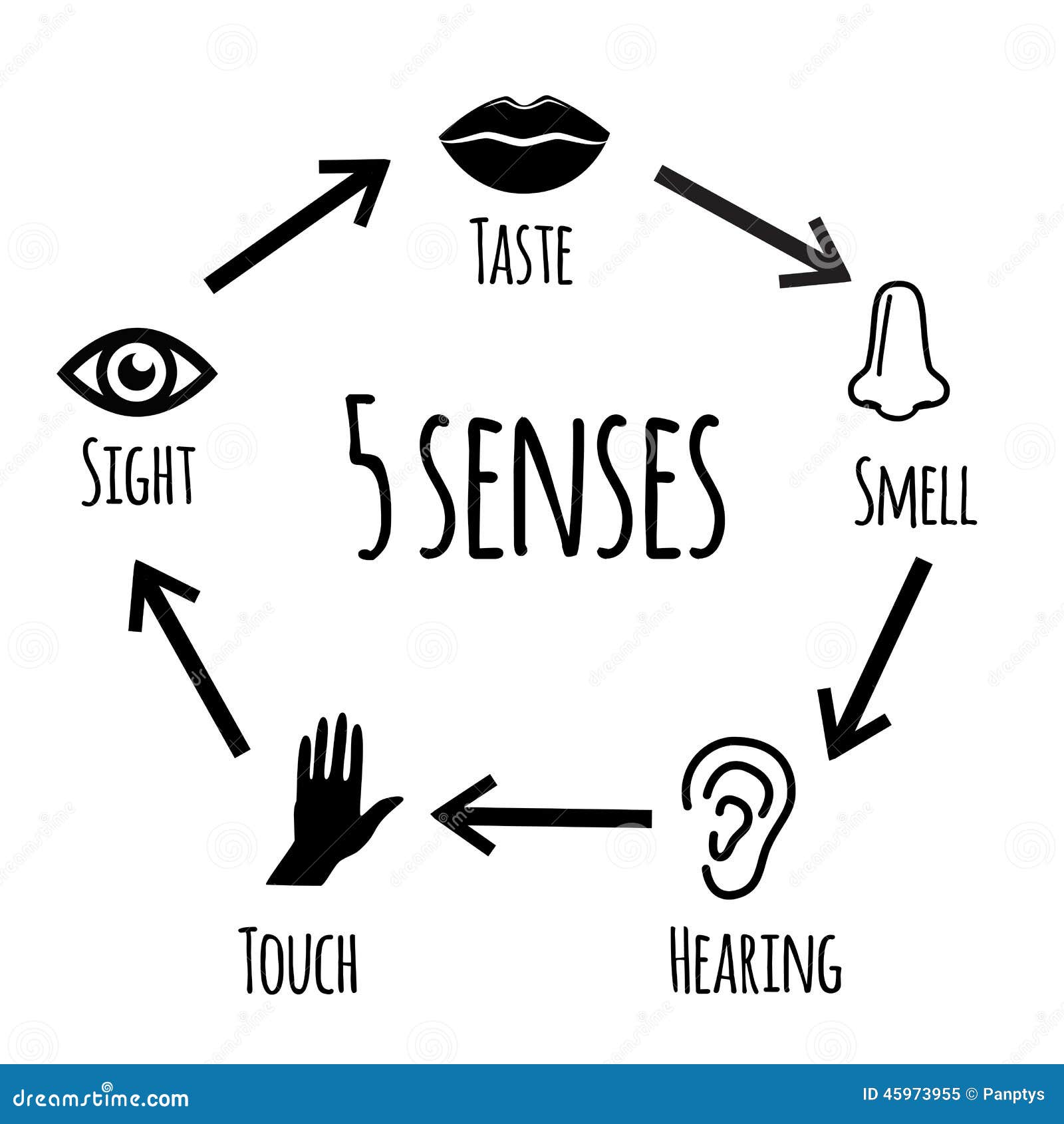 Cinque sensi illustrazione vettoriale. Illustrazione di persona - 45973955