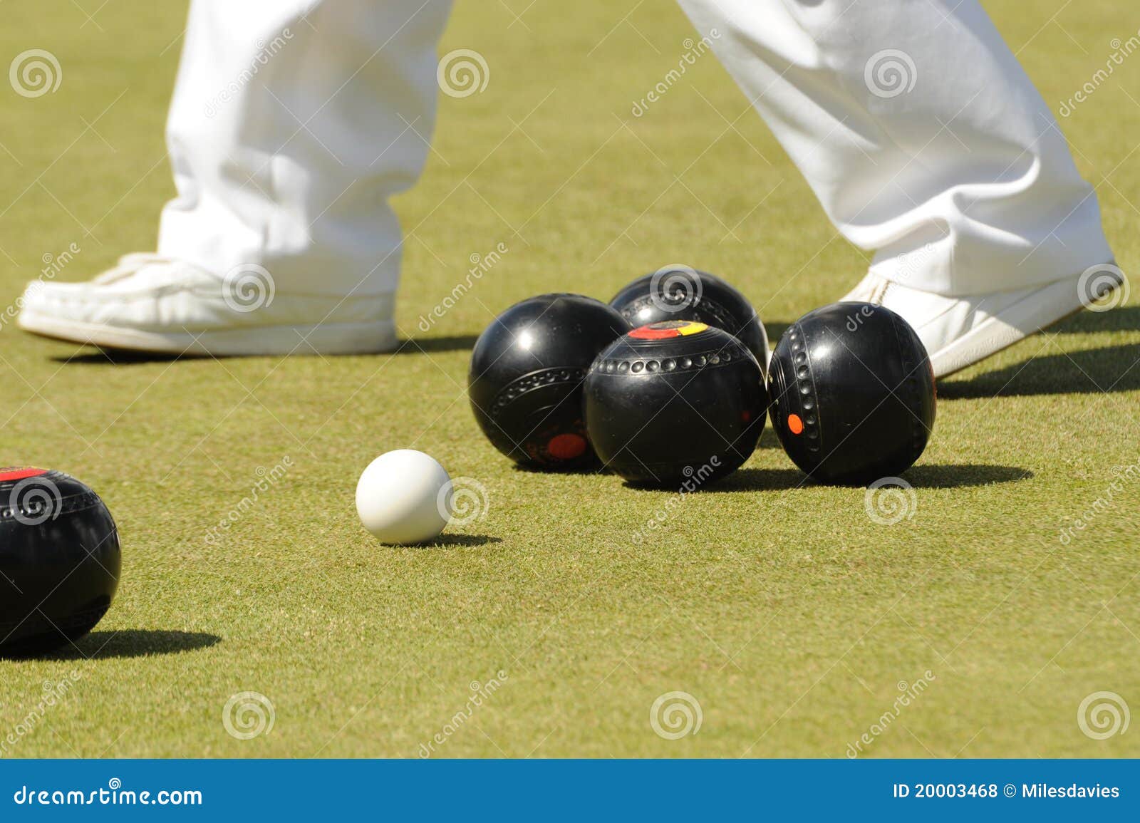 Ciotole del prato inglese fotografia stock. Immagine di estate - 20003468