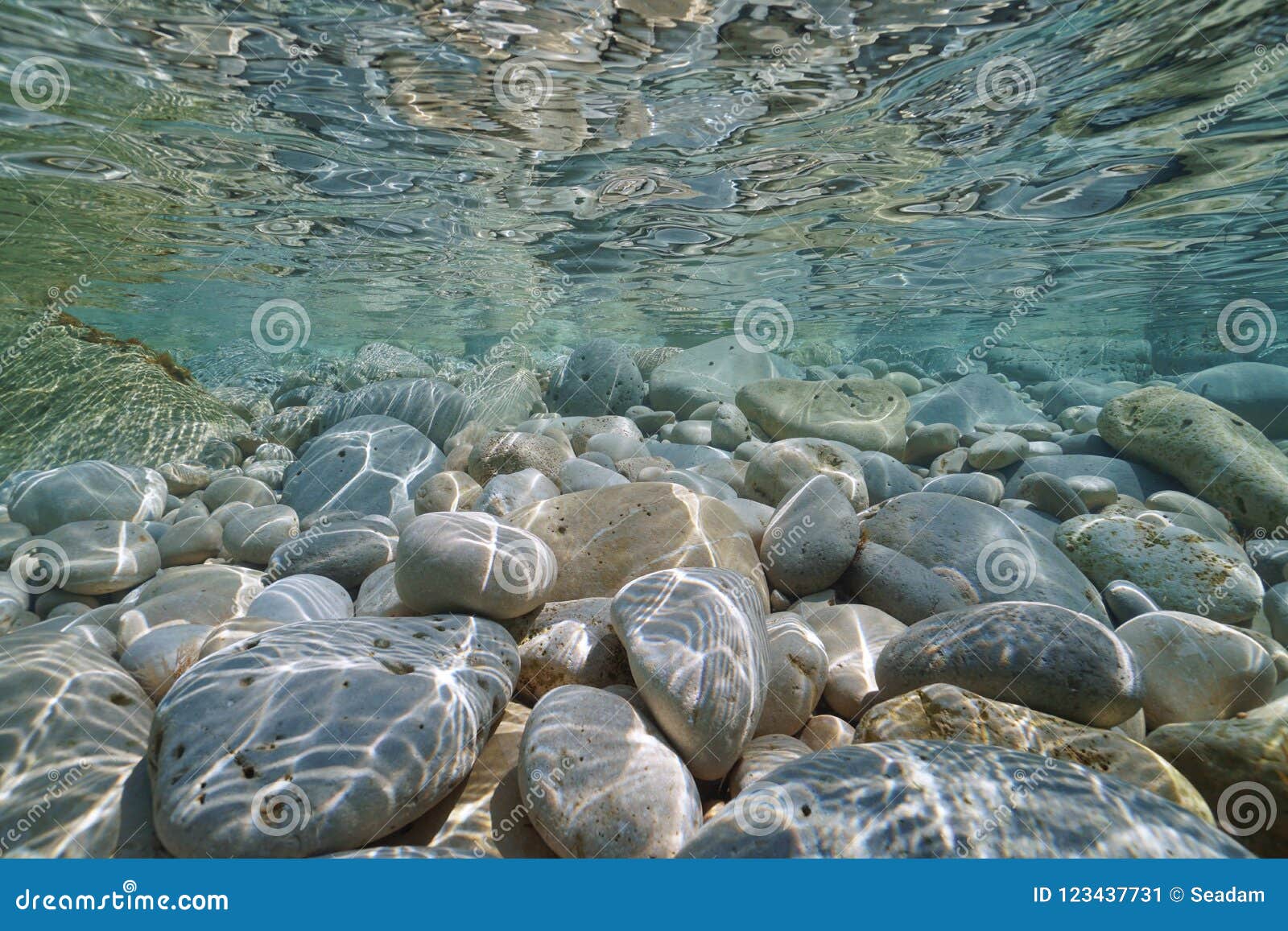 Ciottoli E Rocce Sotto La Superficie Dell'acqua Immagine Stock ...
