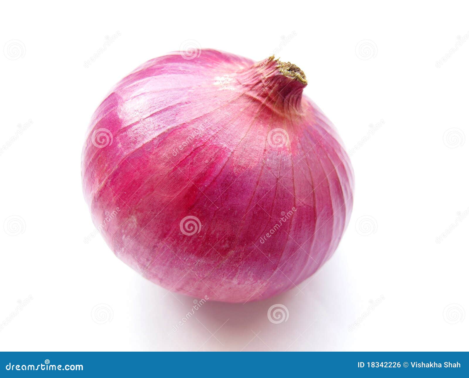 Cipolla fotografia stock. Immagine di strutture, commestibile - 18342226