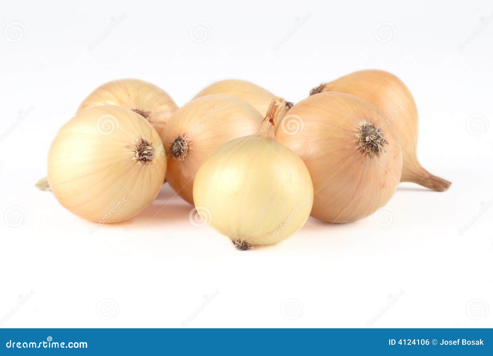Cipolla fotografia stock. Immagine di cipolla, marrone - 4124106