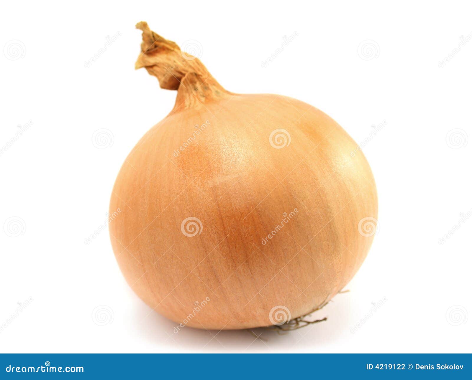 Cipolla fotografia stock. Immagine di vitamina, vegetariano - 4219122