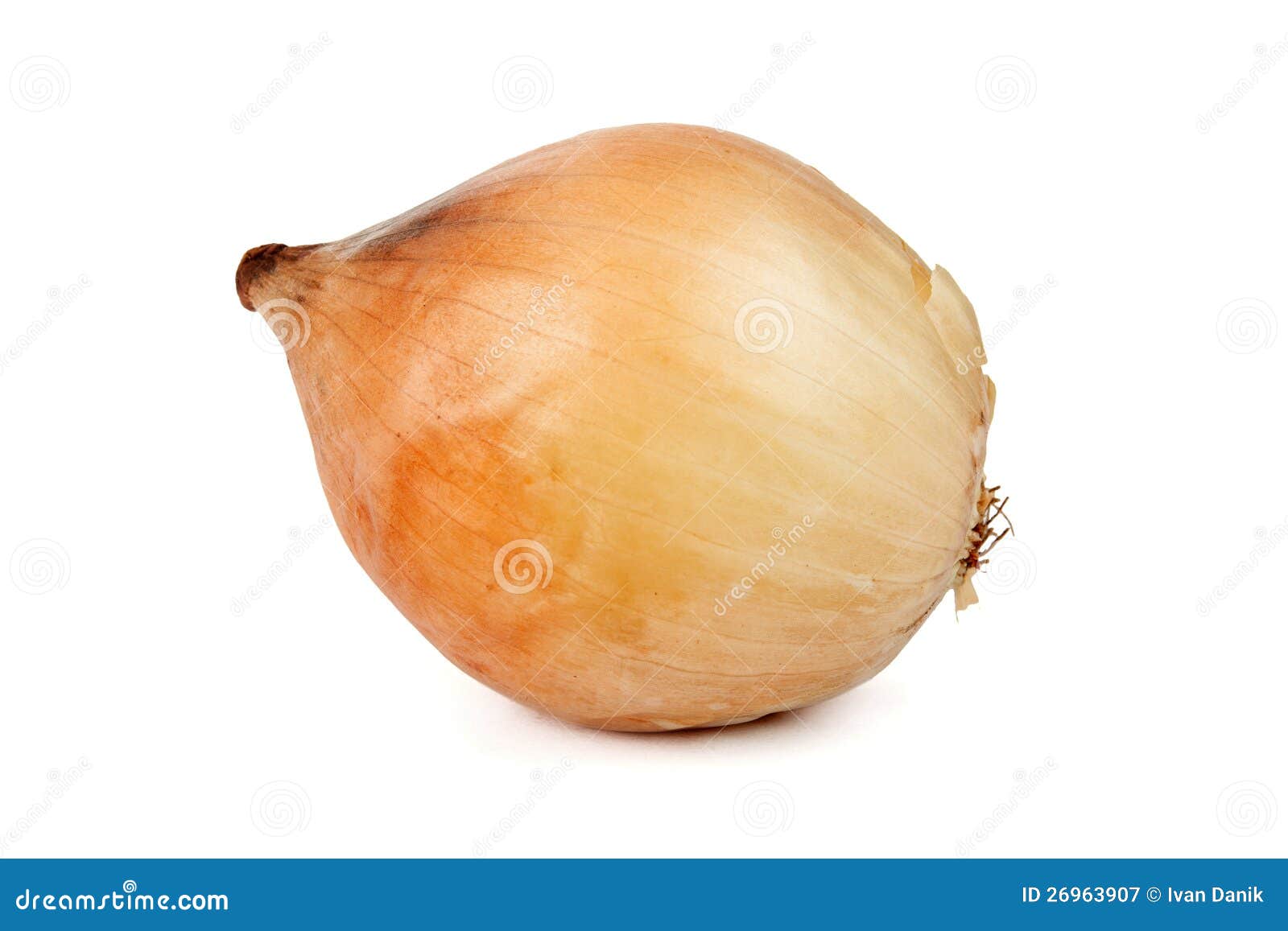 Cipolla fresca immagine stock. Immagine di giallo, alimento - 26963907