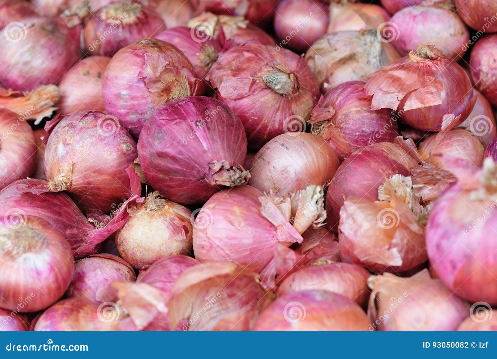 Cipolla Fresca Al Mercato Di Verdure Fotografia Stock - Immagine di ...