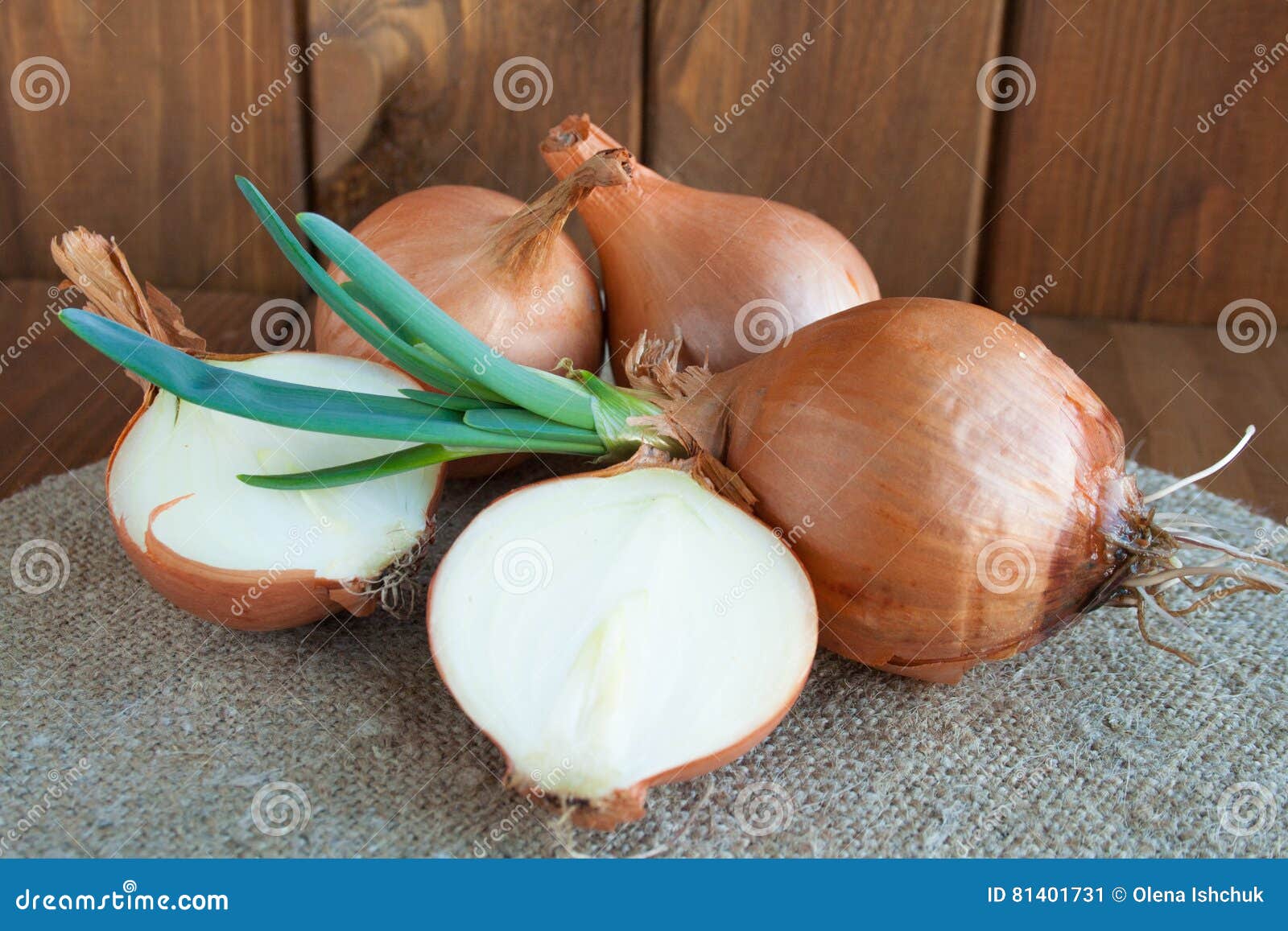 Cipolla, Giovane Freccia Verde Immagine Stock - Immagine di buongustaio ...