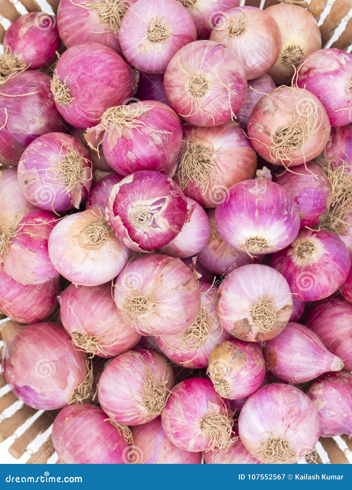 Cipolla rossa cruda immagine stock. Immagine di alimento - 107552567