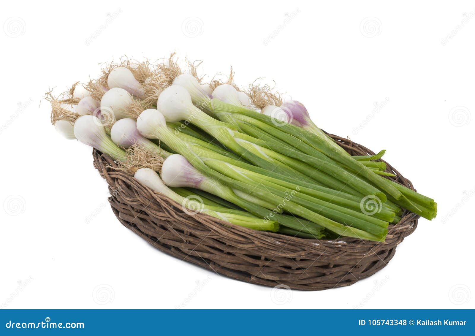 Cipolla verde fotografia stock. Immagine di pranzo, chiusura - 105743348