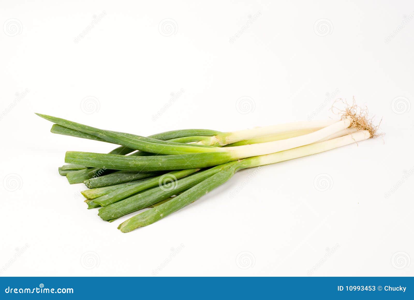 Cipolla verde immagine stock. Immagine di verdura, verde - 10993453
