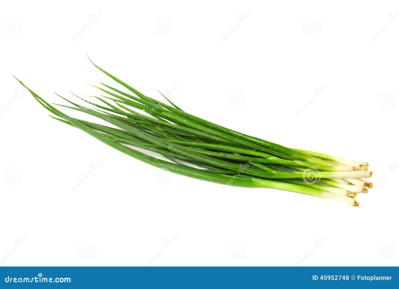 Cipolla verde fotografia stock. Immagine di mazzo, salute - 45952748