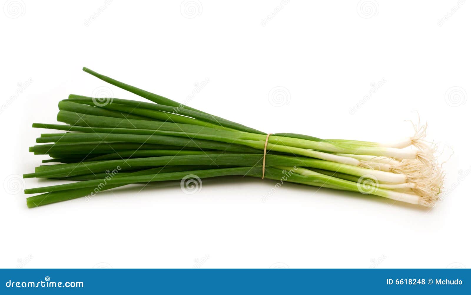 Cipolla verde fotografia stock. Immagine di mangi, verde - 6618248