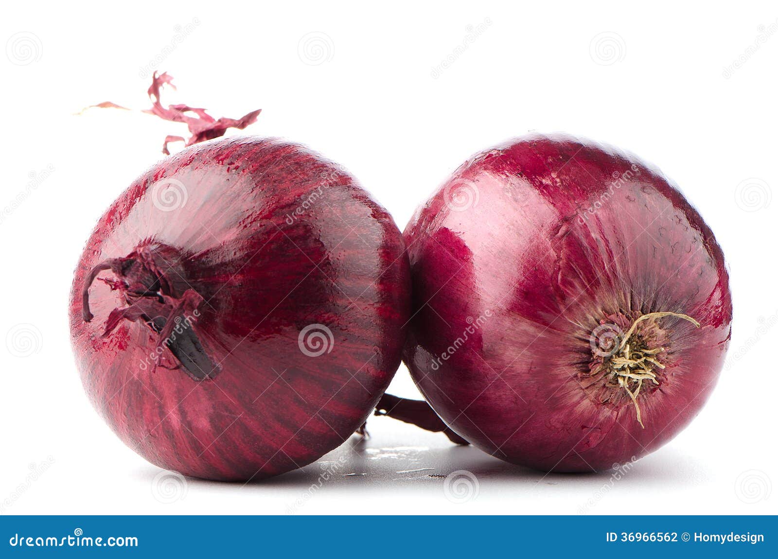 Cipolle rosse fotografia stock. Immagine di naughty, frutta - 36966562