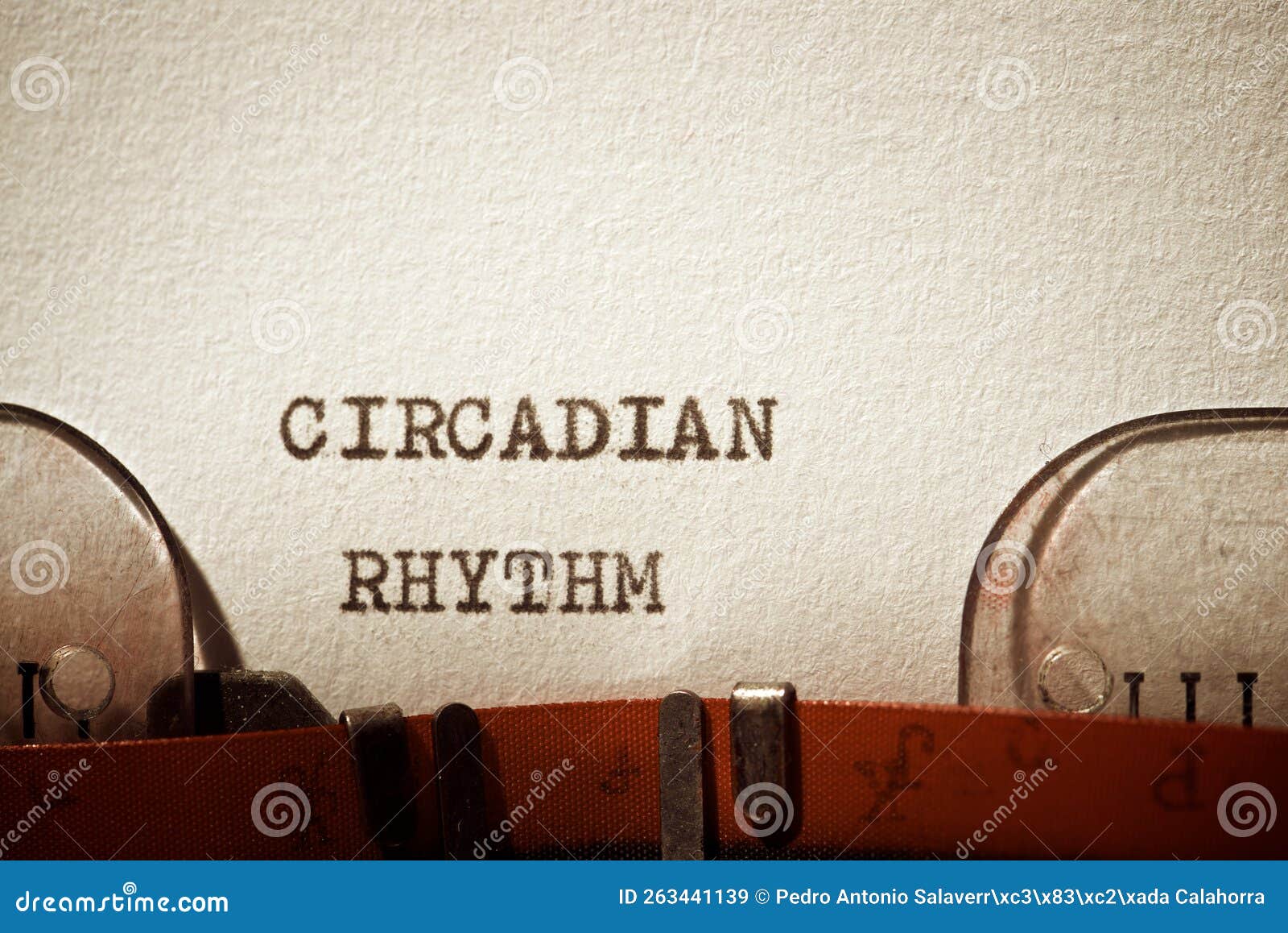 Circadian Rhythm Regulation With Cortisol And Melatonin Cycle ...