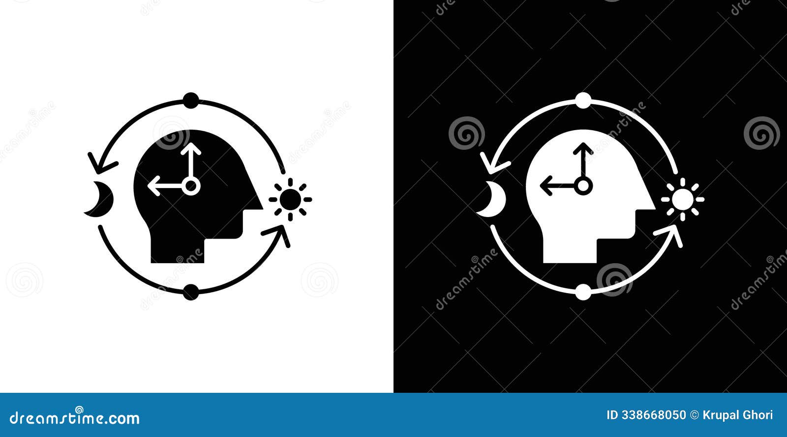 Circadian Rhythms. Human Biological Clock And Daily Activities Vector ...