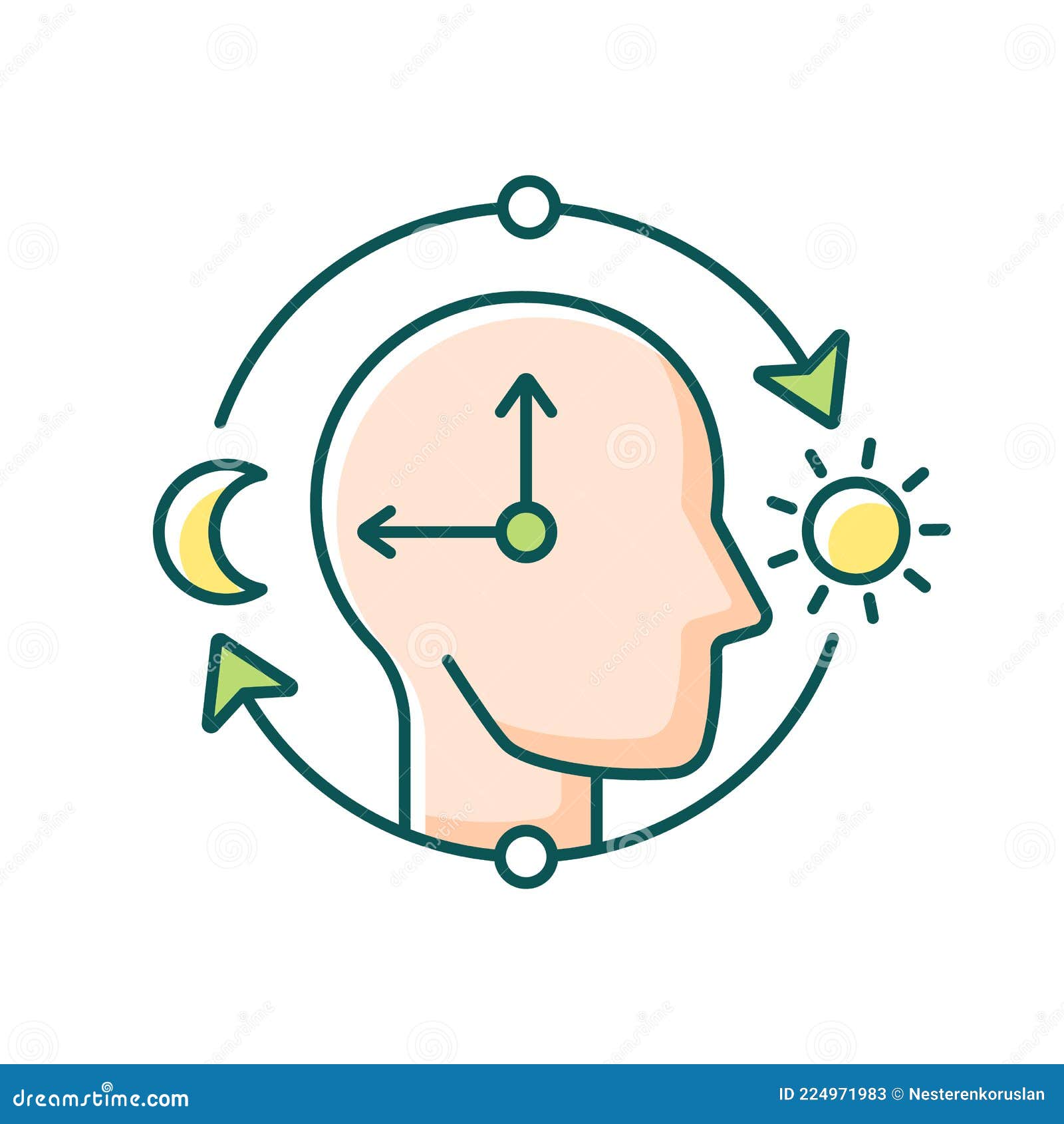 Circadian Rhythms Linear Icon Cartoon Vector | CartoonDealer.com #224798161