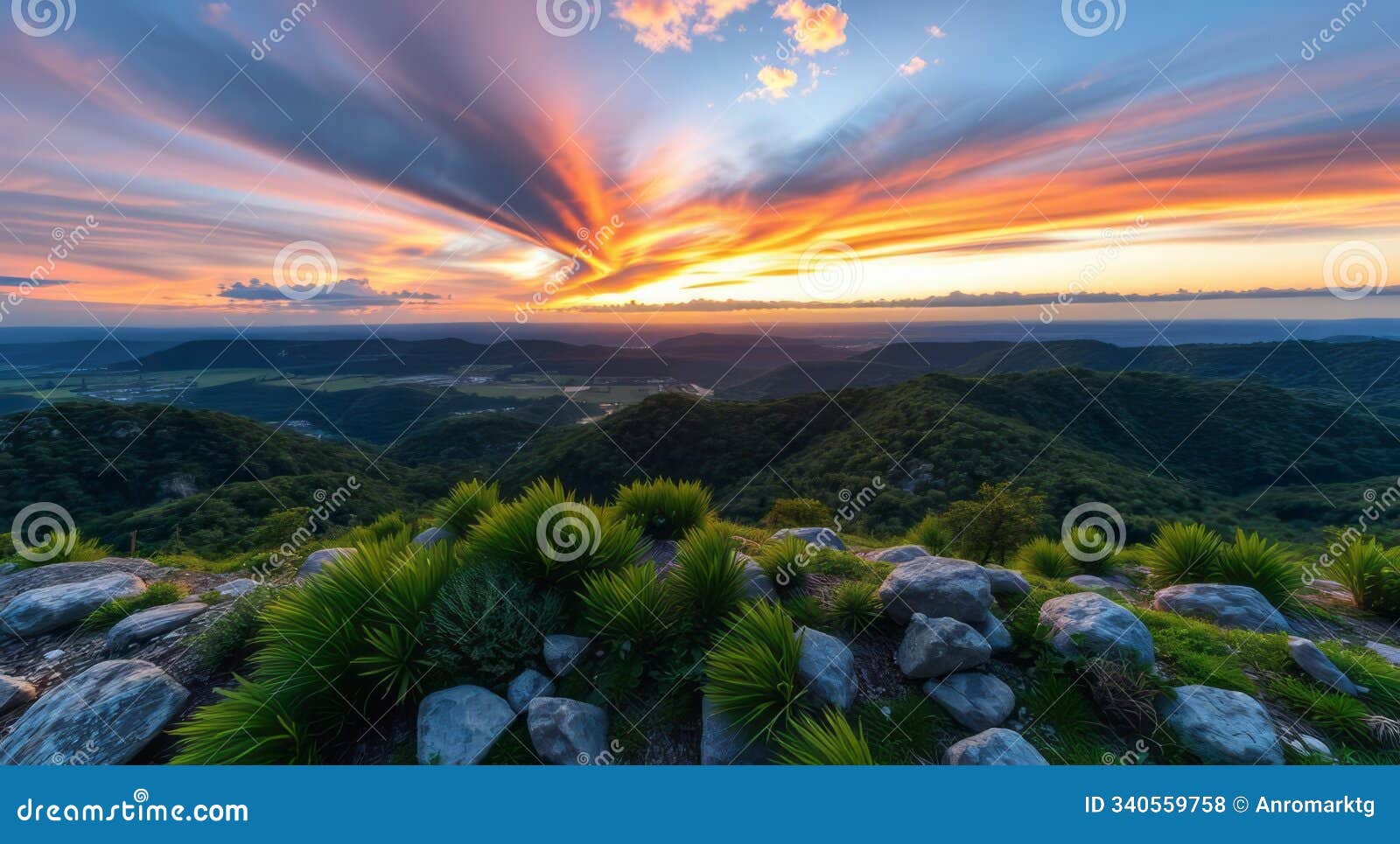 Earth Day or World Wildlife Day Concept Save Our Planet and Animals ...