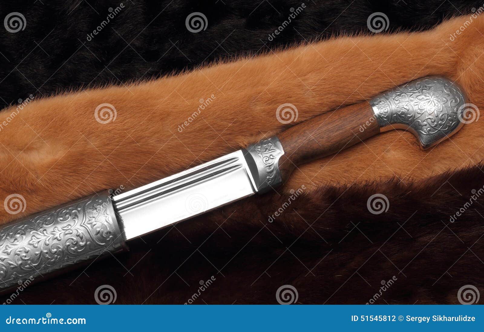 Circassian Cavalry Sword Half-pulled from Sheaths Closeup Stock Photo ...