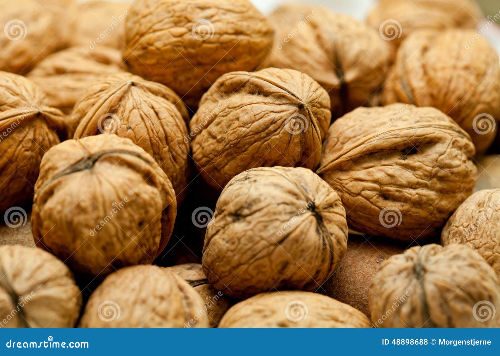Circassian walnut in heap stock photo. Image of walnut - 48898688