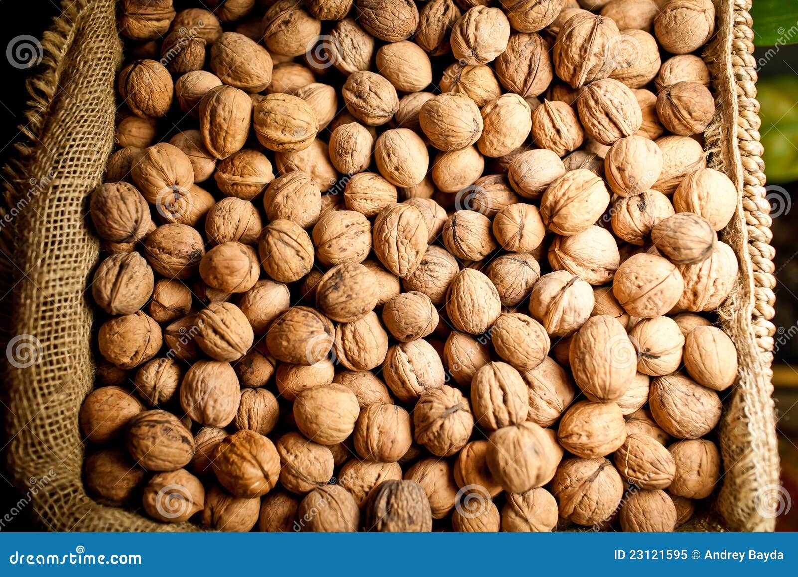 Walnut Texture Royalty-Free Stock Photo | CartoonDealer.com #46149387