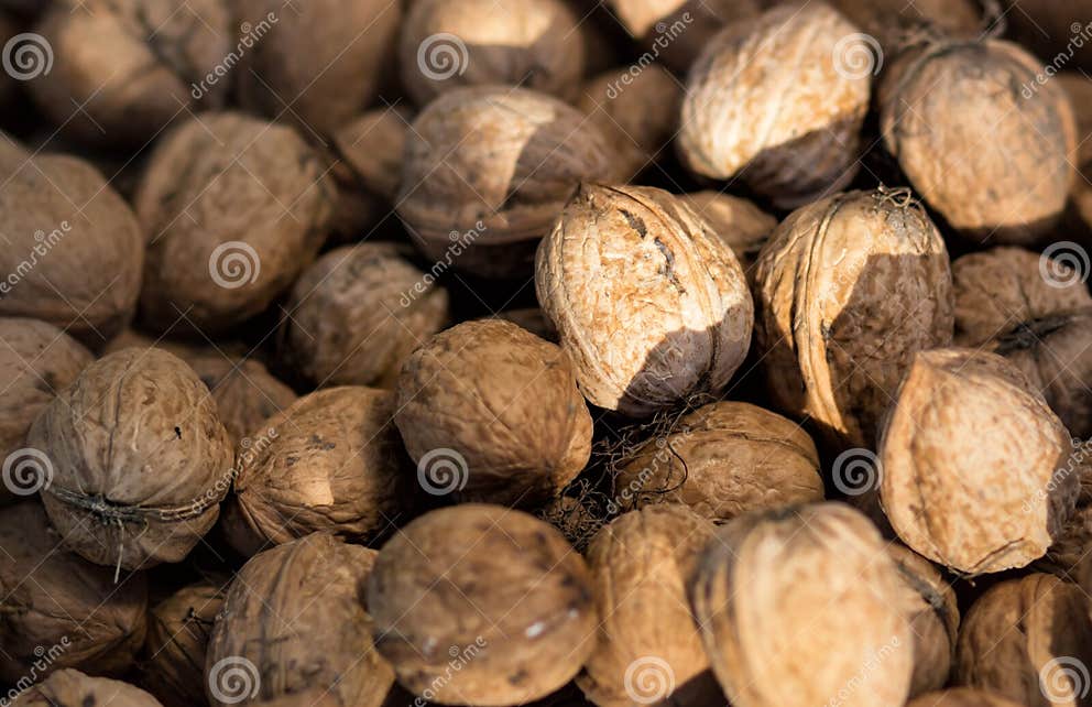 Circassian walnut texture stock photo. Image of pile - 79486982