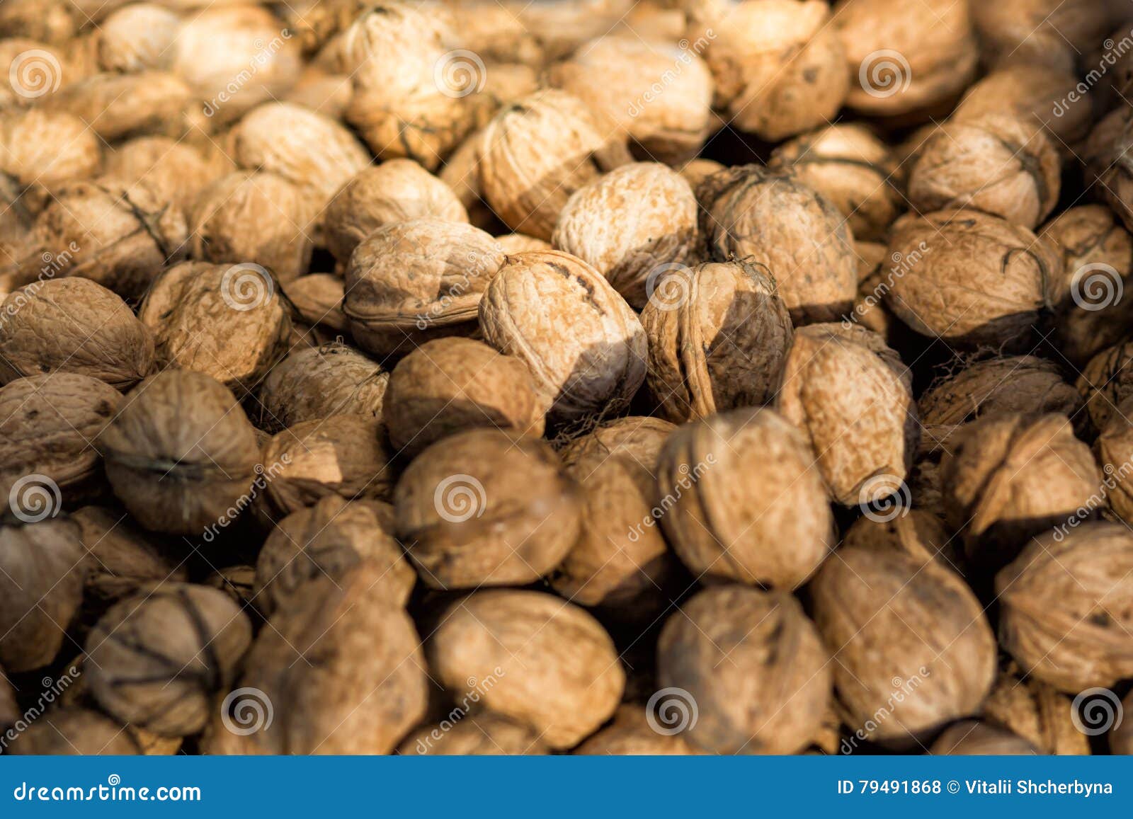 Circassian walnut texture stock photo. Image of leaf - 79491868