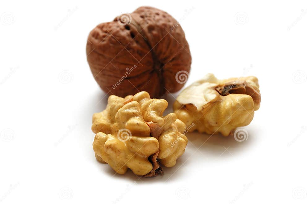 Circassian walnuts stock image. Image of pith, flavor - 6476665
