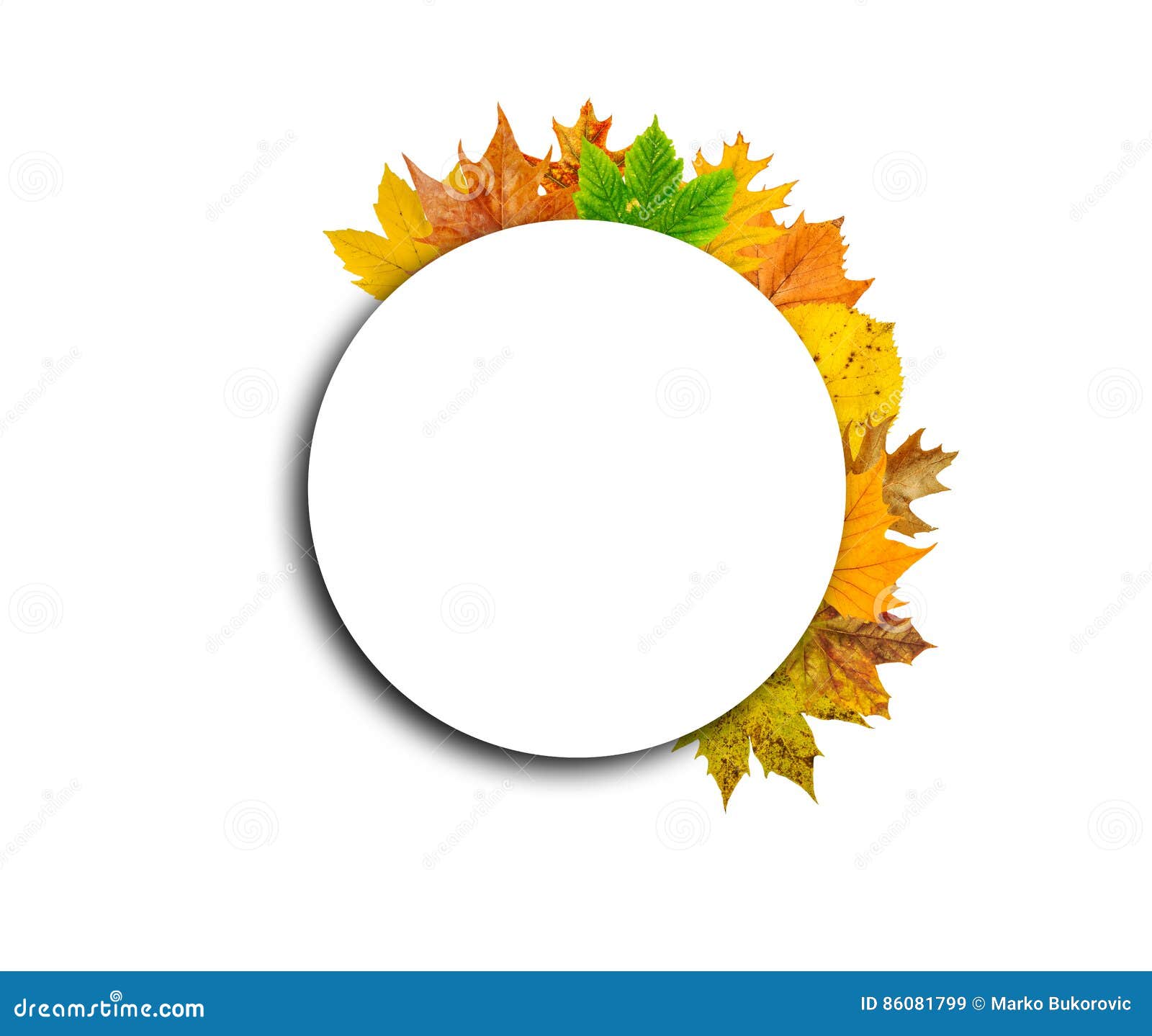 Circle with Autumn Leaves Around Isolated on White Stock Illustration ...