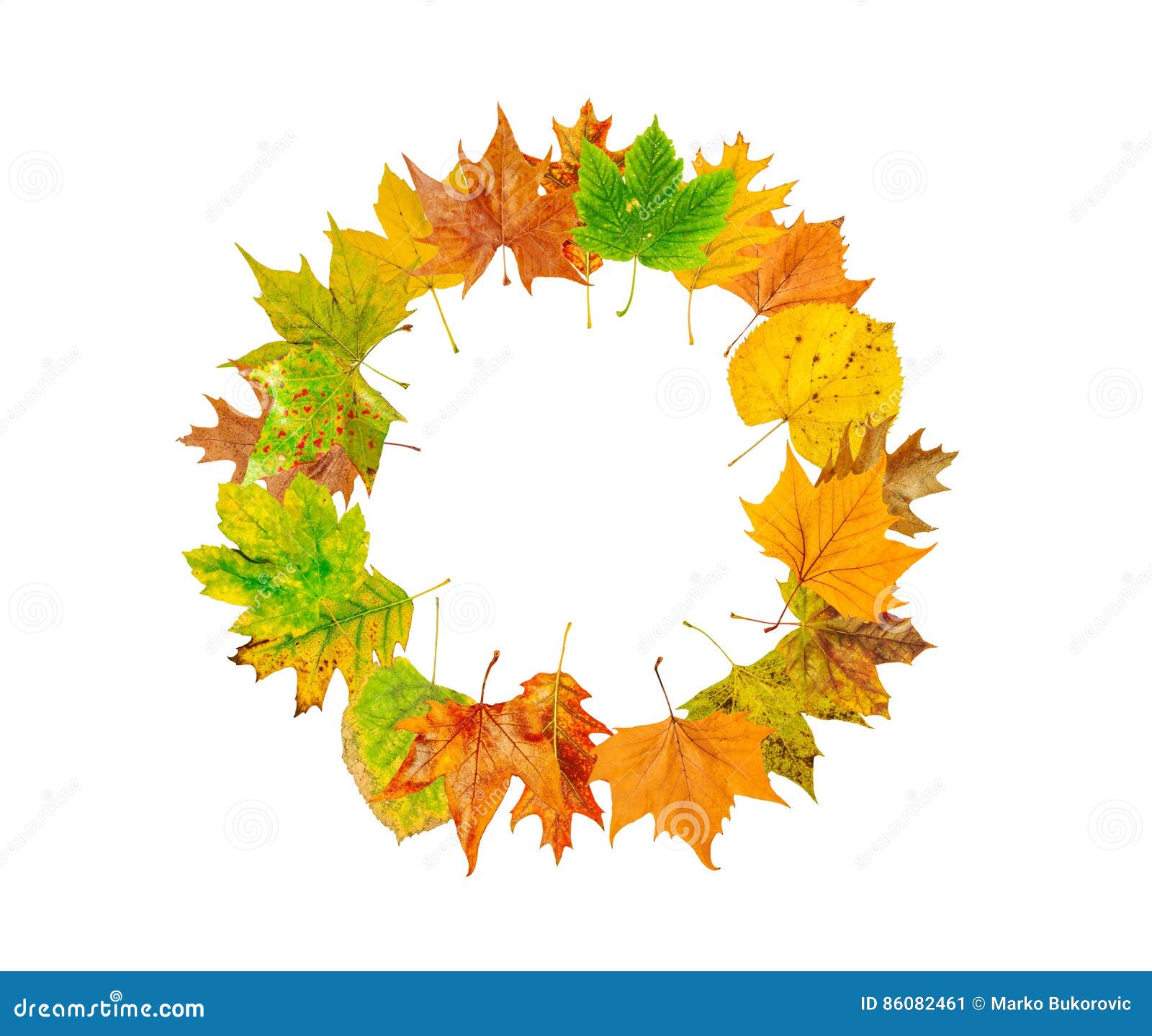 Circle with Autumn Leaves Around Isolated on White Stock Illustration ...