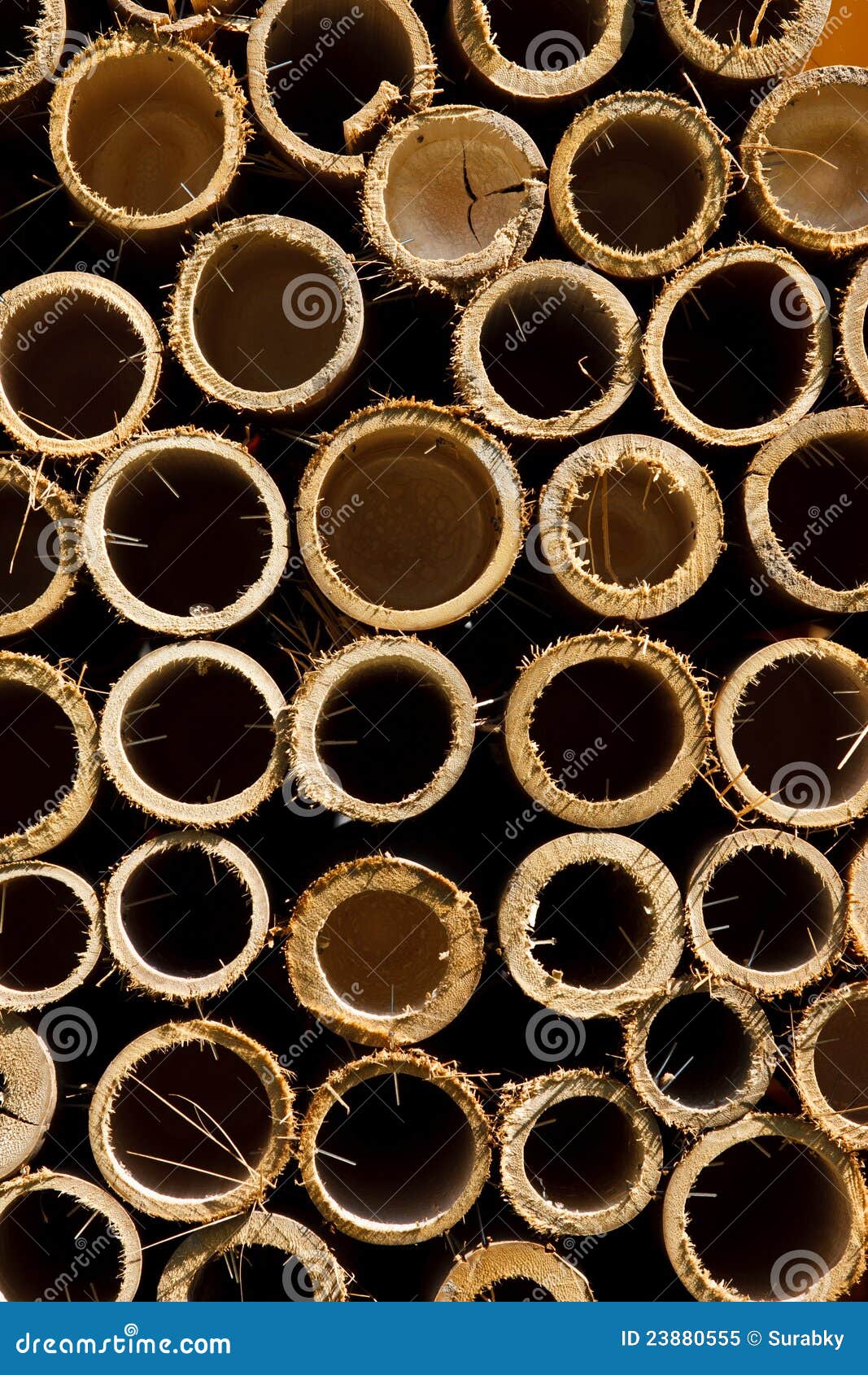 Circle of bamboo stock image. Image of crop, circle, detail - 23880555