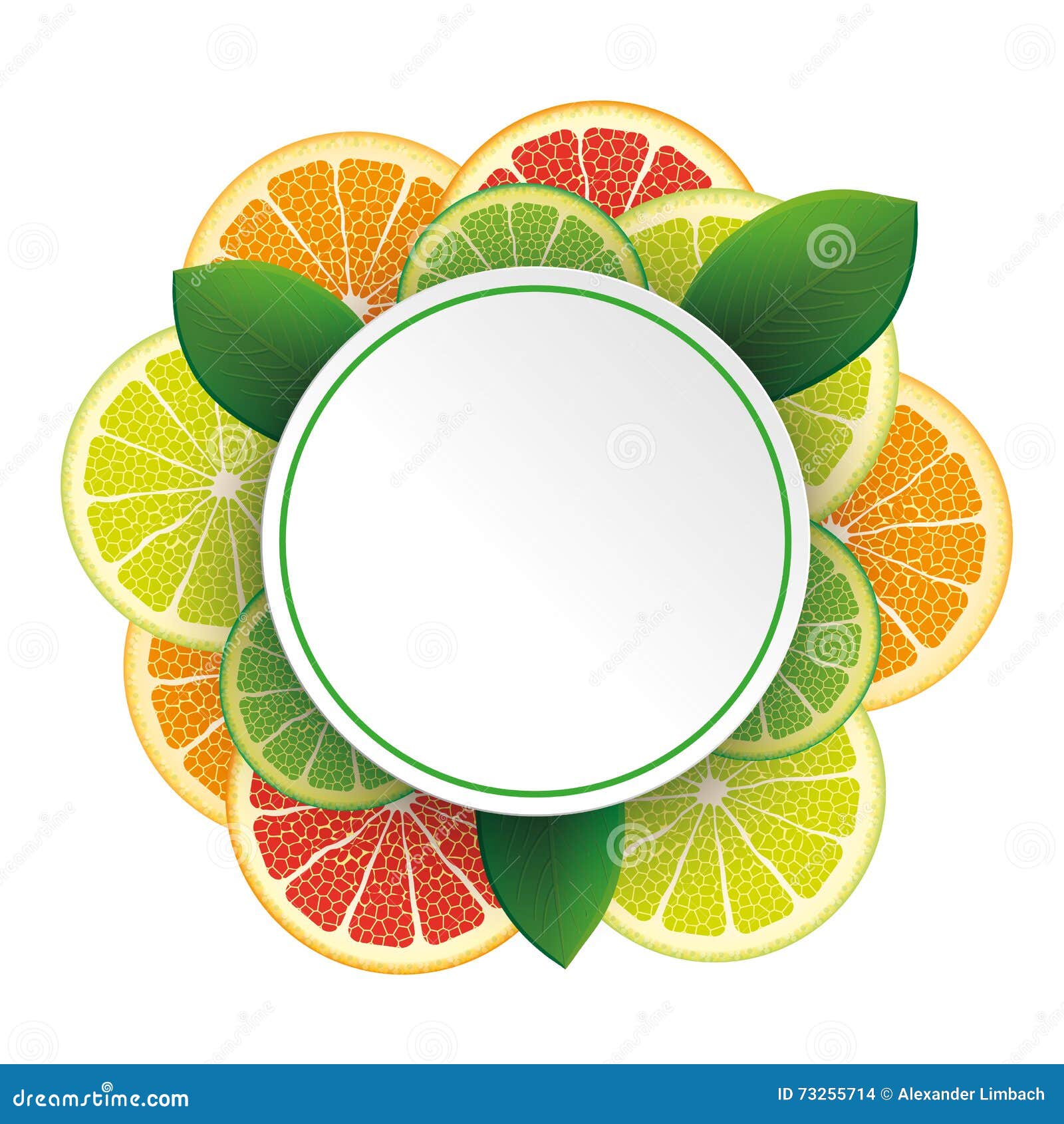 Circle Banner Citrus Fruits Stock Vector - Illustration of banner ...