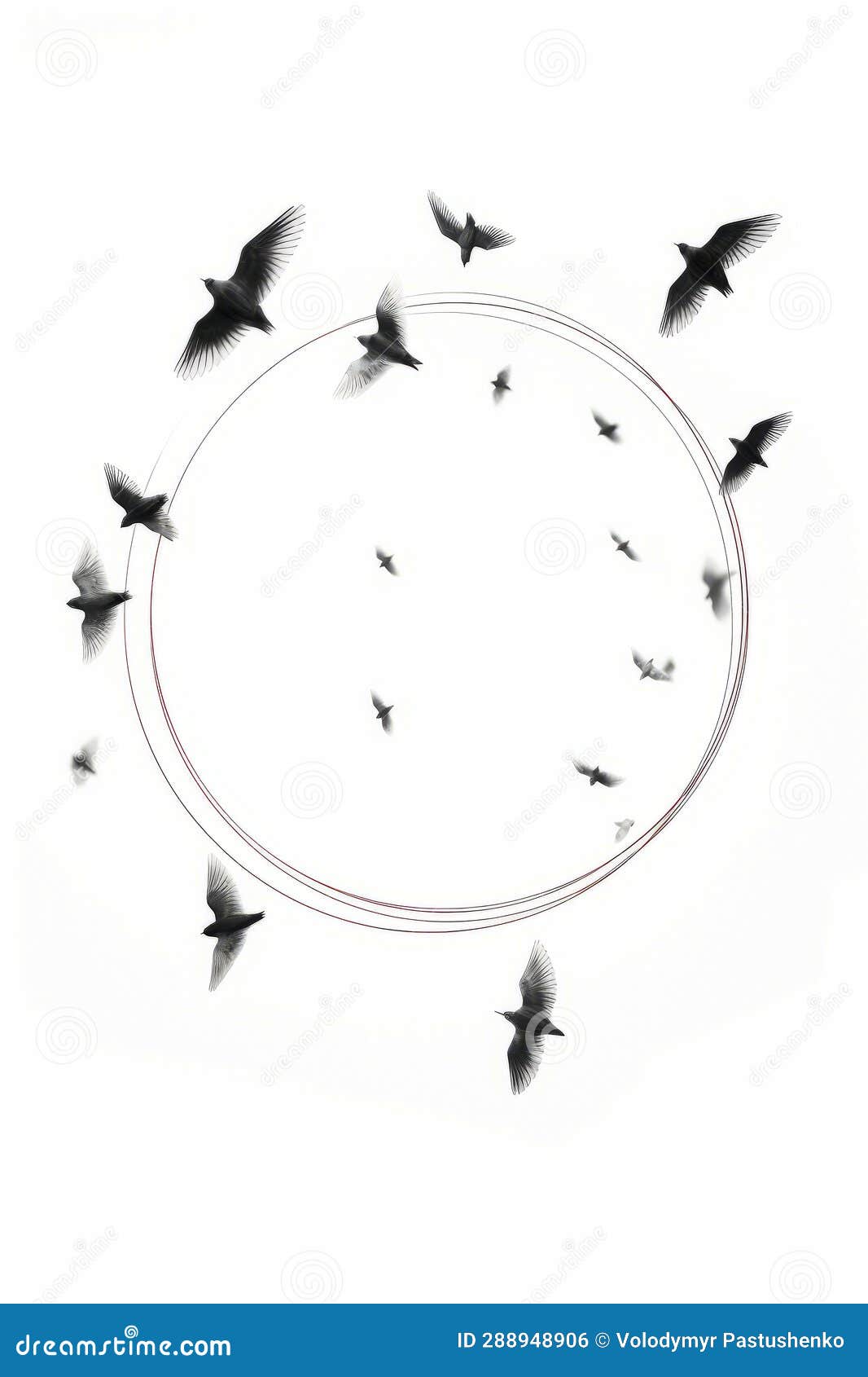 Circle of Birds Flying Around it in the Sky with Circle of Birds Flying ...