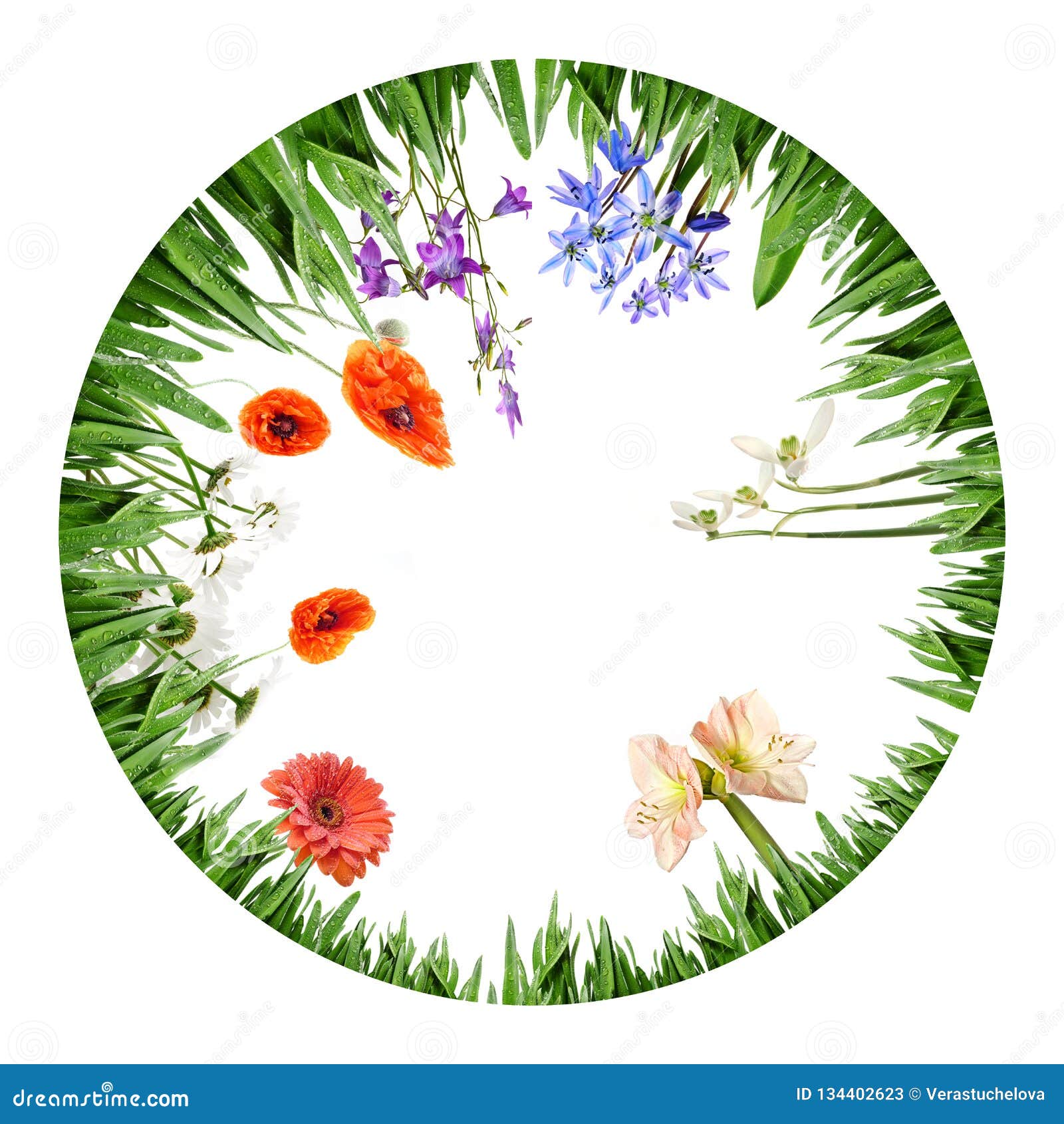Circle Border from Grass and Spring Flowers Stock Illustration ...