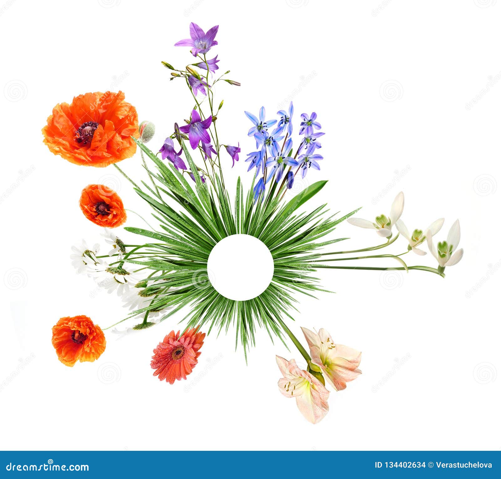 Circle Border from Grass and Spring Flowers Stock Photo - Image of ...