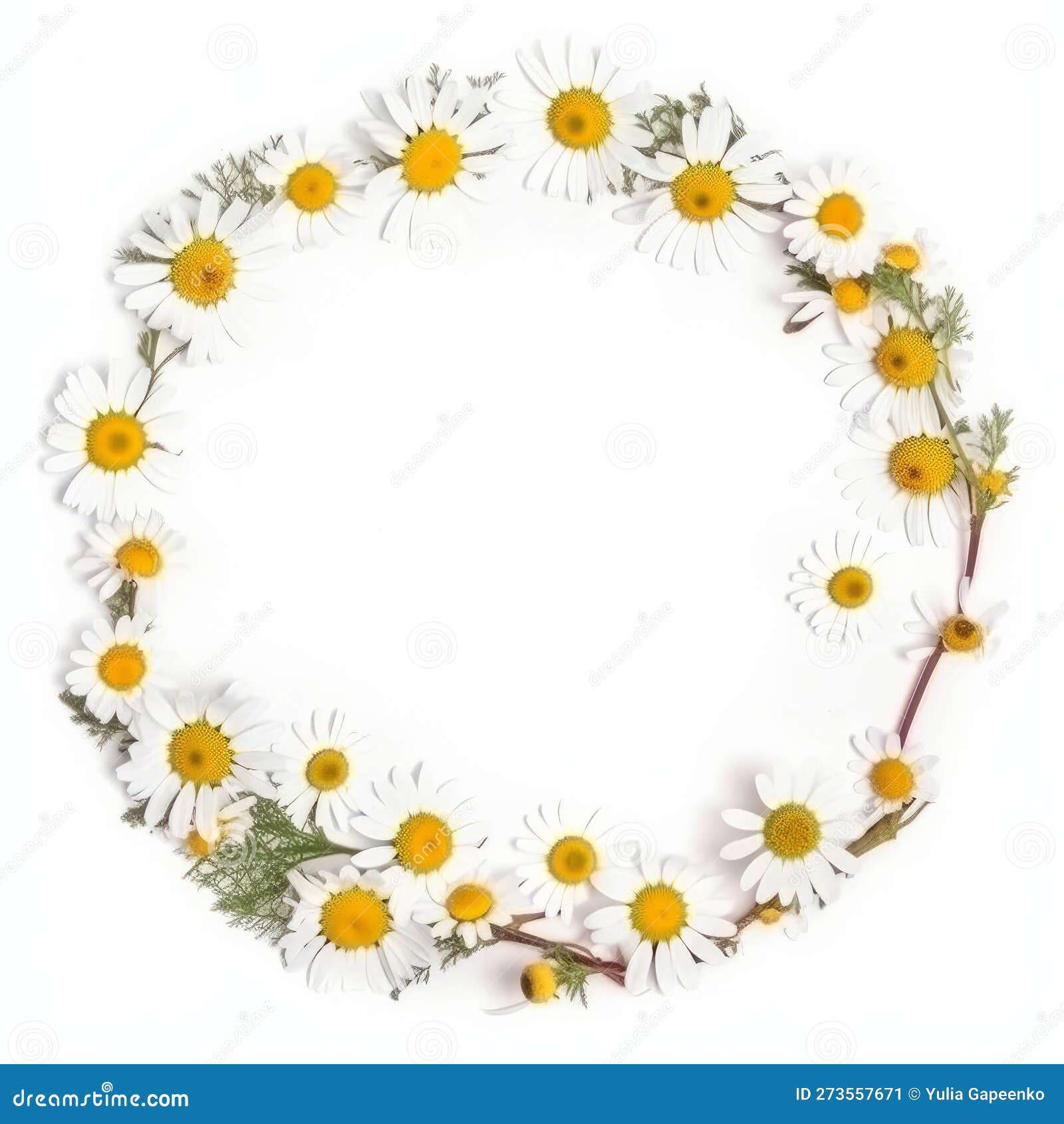 Circle Chamomile Frame. Illustration AI Generative Stock Illustration ...