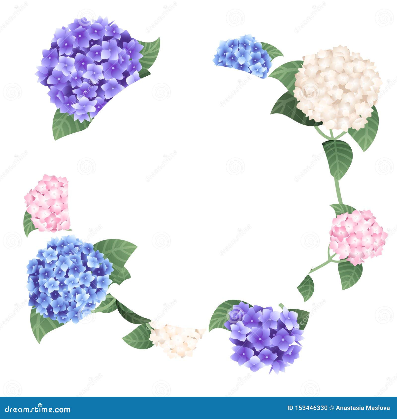 Circle Colorful Hydrangea Template Design Banner Flat Vector ...