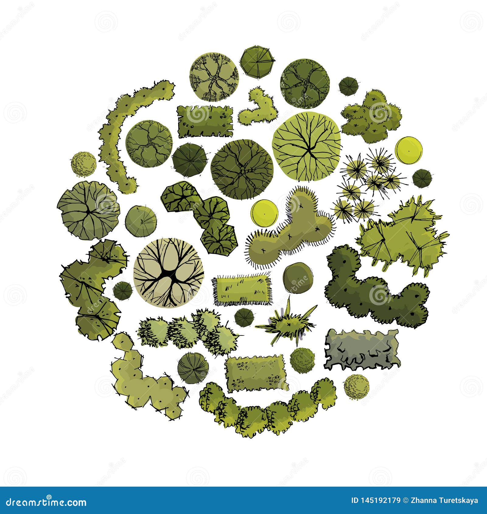 Circle Composition with Symbols of Trees and Shrubs in Plan View Whithout Shadow. Hand Drawn Ink ...