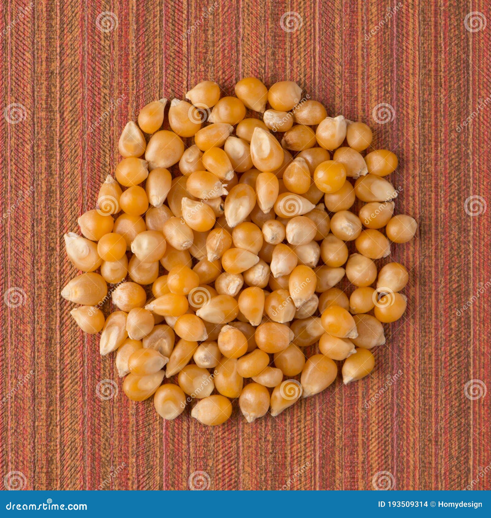 Circle of corn stock photo. Image of crop, juicy, green - 193509314