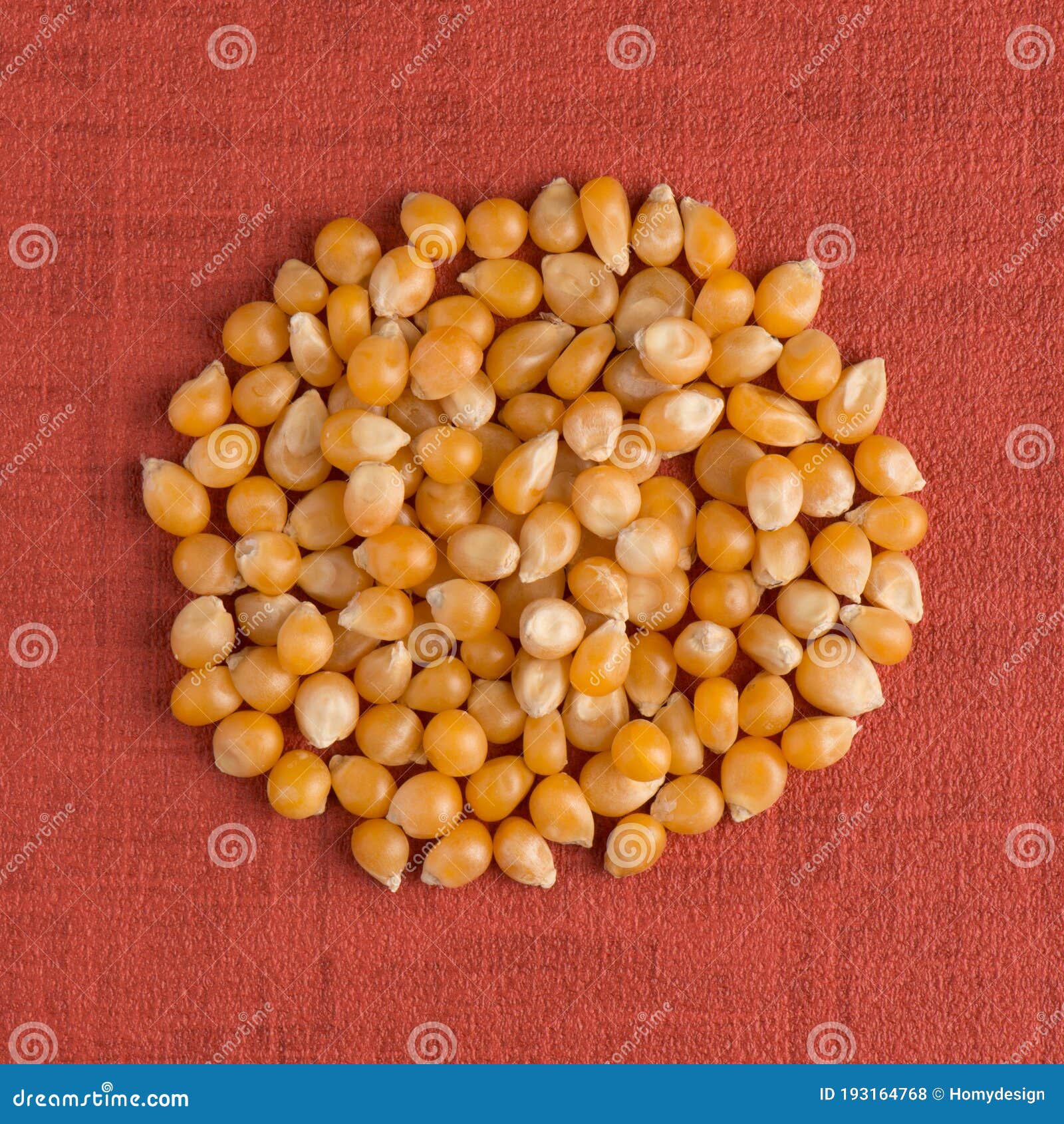 Circle of corn stock photo. Image of heap, cooked, objects - 193164768