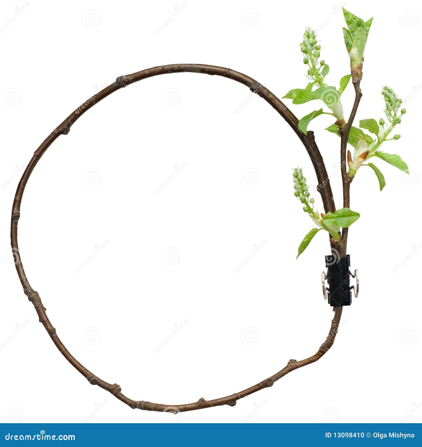 Circle Decorative Composition from Branch Stock Photo - Image of ...
